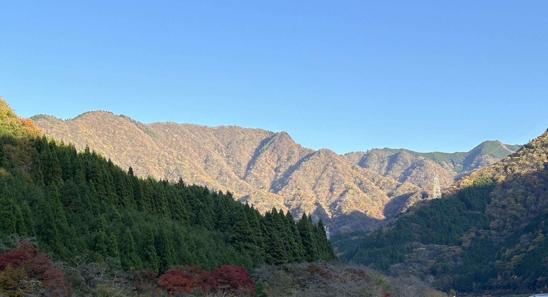 鈴鹿(黒尾山) / aiueo123さんの釈迦ヶ岳の活動データ | YAMAP / ヤマップ