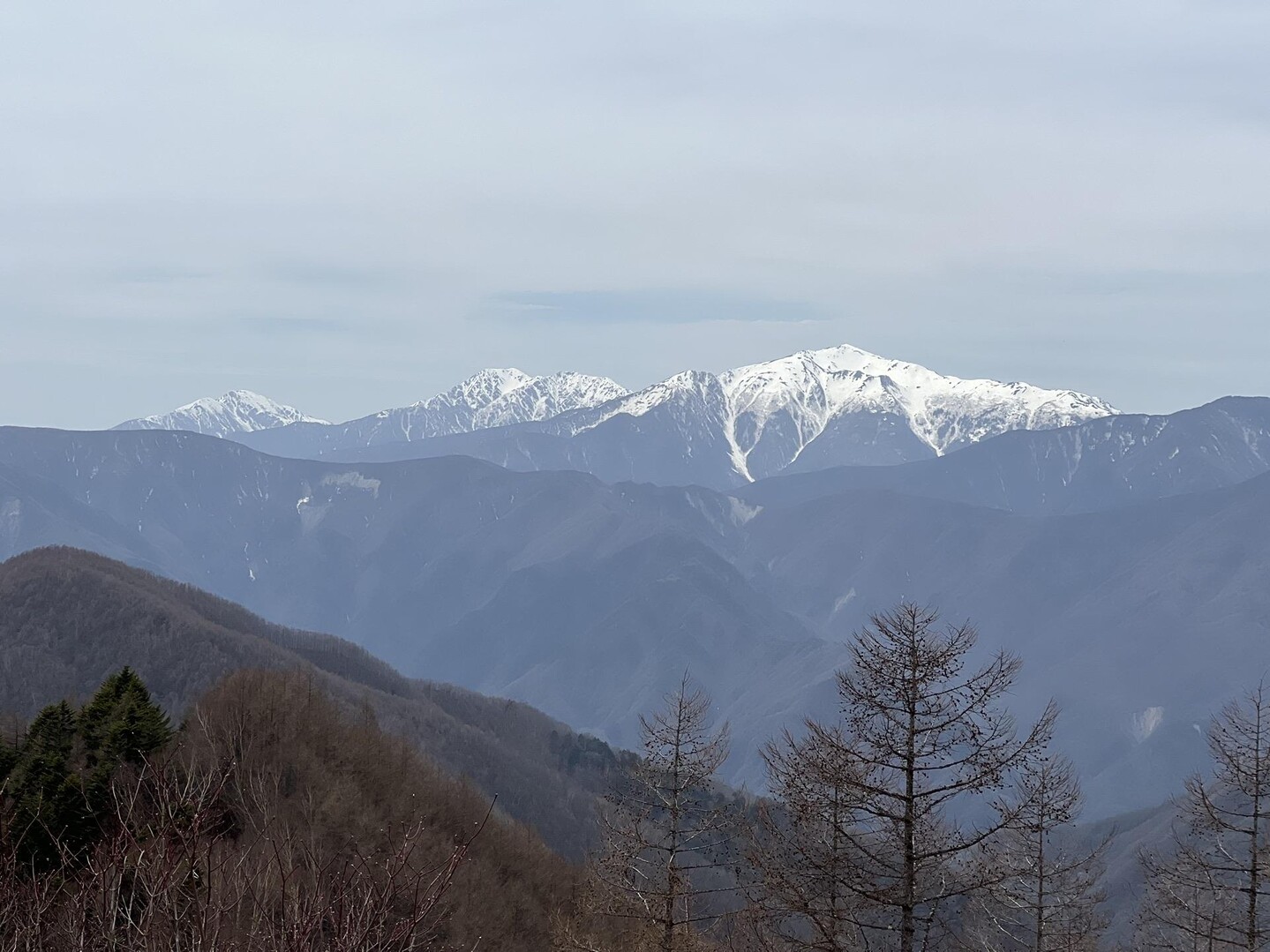 南アルプスの展望台櫛形山・奥仙重・裸山へ🎵 / medamonさんの櫛形山・裸山・唐松岳の活動データ | YAMAP / ヤマップ