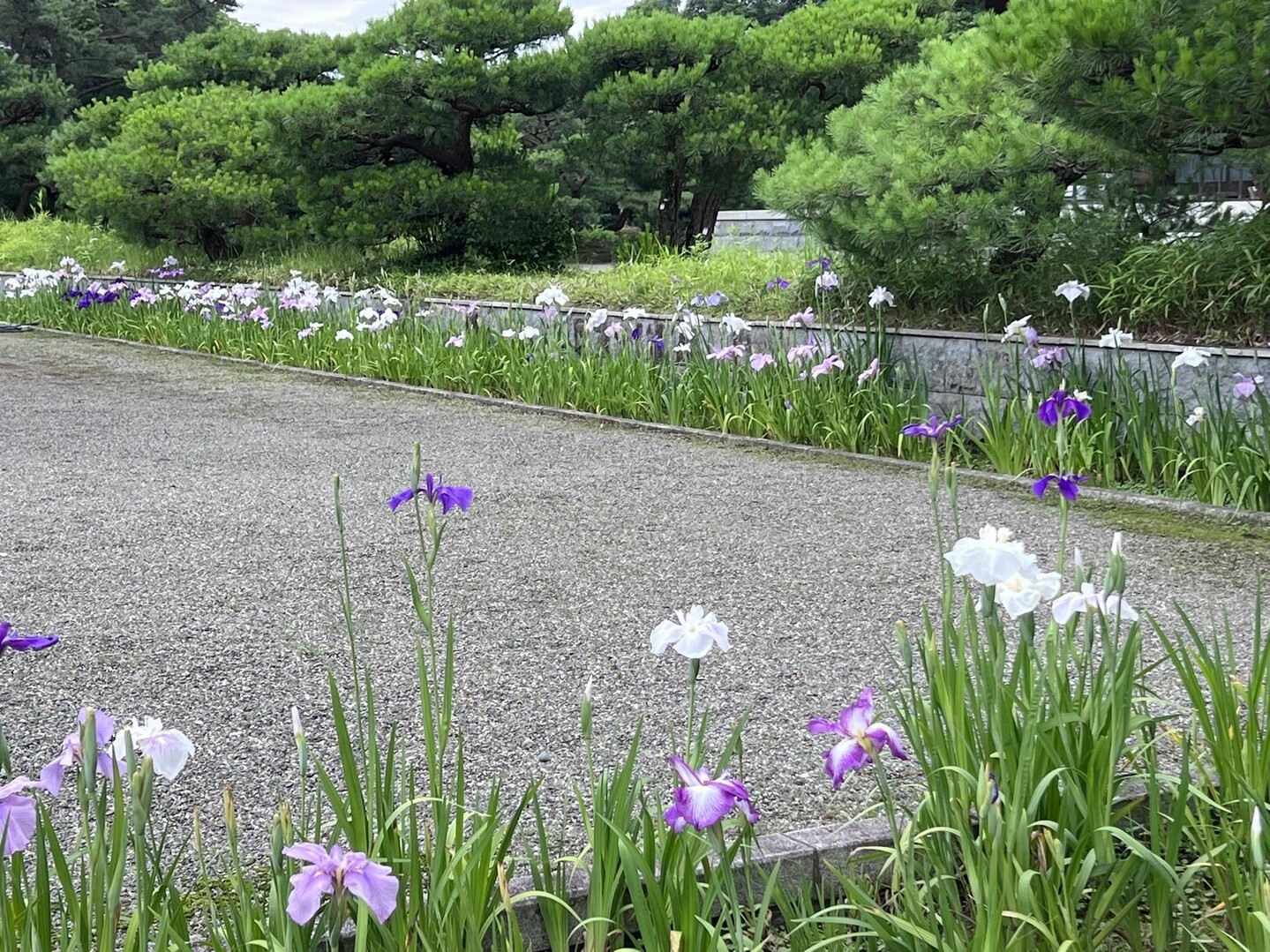 温泉連れてけ〜ってうるさいので、 めんど... / kawaさんのモーメント | YAMAP / ヤマップ