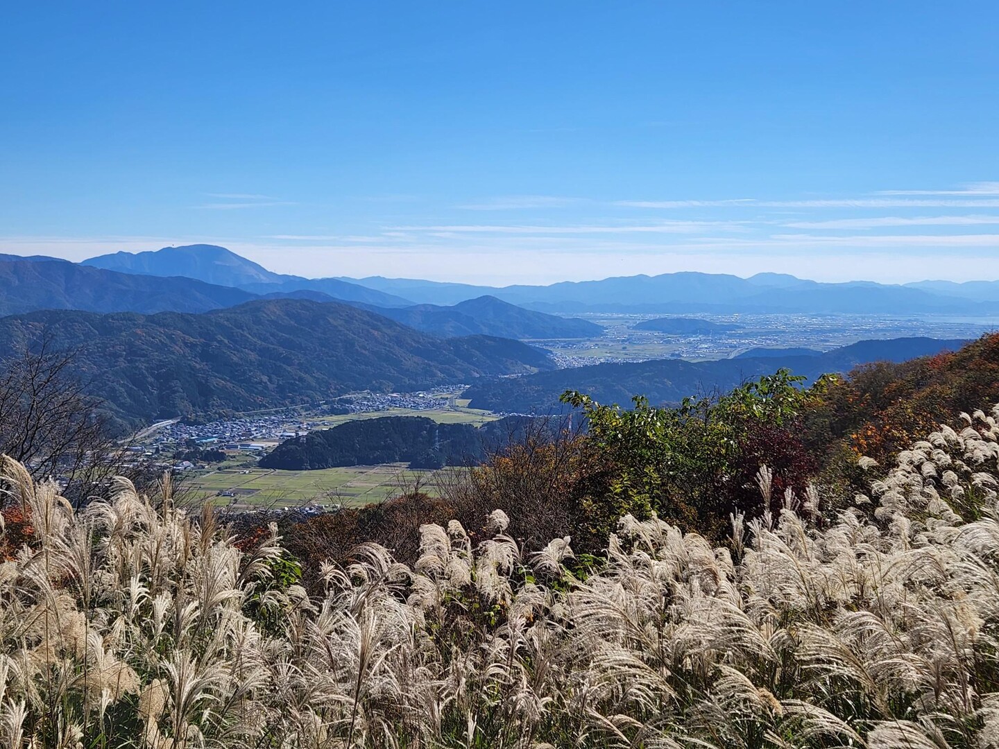 林谷山・中谷山・別所山・行市山 / ゆーいっちゃんさんの行市山・柳ヶ瀬山・三方ヶ岳の活動データ | YAMAP / ヤマップ