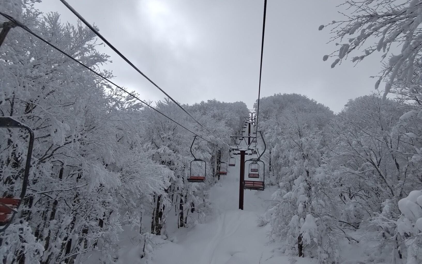 ⛄ 初Skiing ⛄ 鳥兜山・三郎岳 / 林のｸﾏkinさんの蔵王山・雁戸山・不忘山の活動データ | YAMAP / ヤマップ