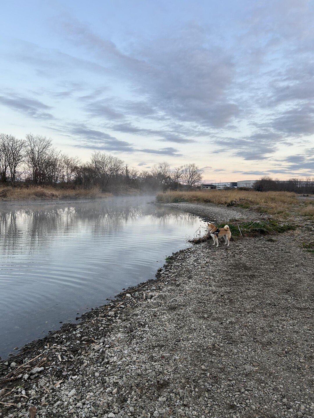 2025 1.3 新しい一年始まりました... / たけまりさんのモーメント | YAMAP / ヤマップ