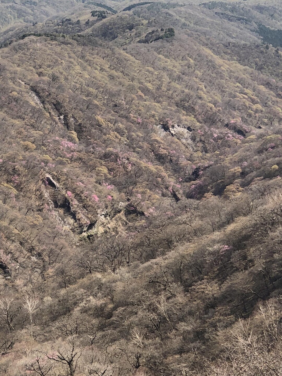 茶ノ木畑山・前山・牛石山 / necomaru Xさんの赤城山・黒檜山・荒山の活動データ | YAMAP / ヤマップ