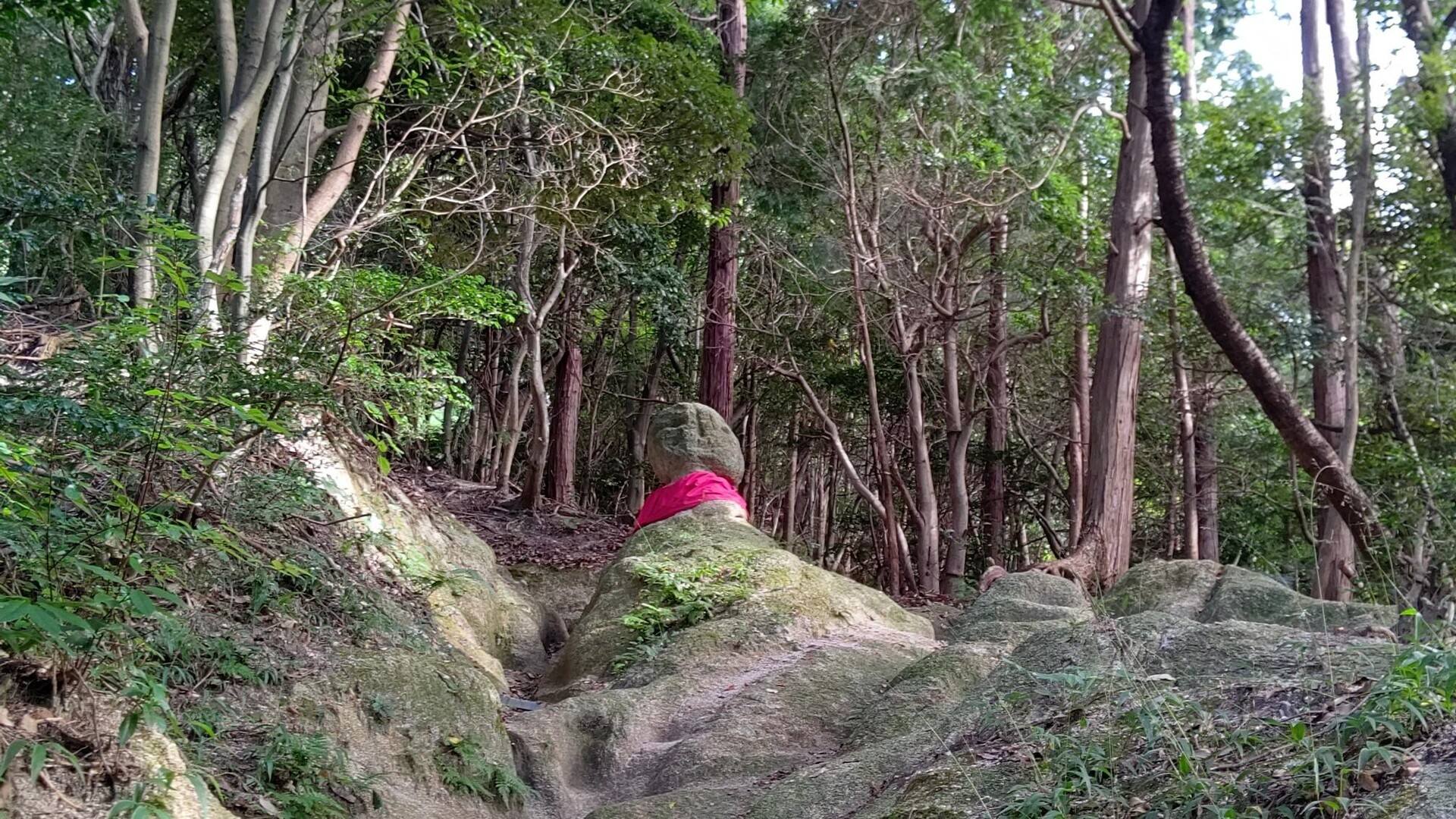 叶岳 / megさんの高祖山・飯盛山・叶岳の活動データ | YAMAP / ヤマップ