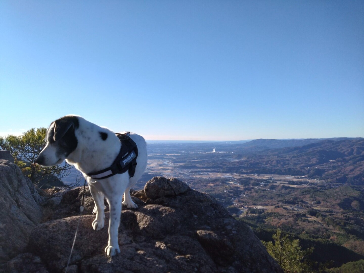 男体山・女体山・二ッ箭山・月山 / kuru−ruさんの二ッ箭山・三森山・猫鳴山の活動データ | YAMAP / ヤマップ