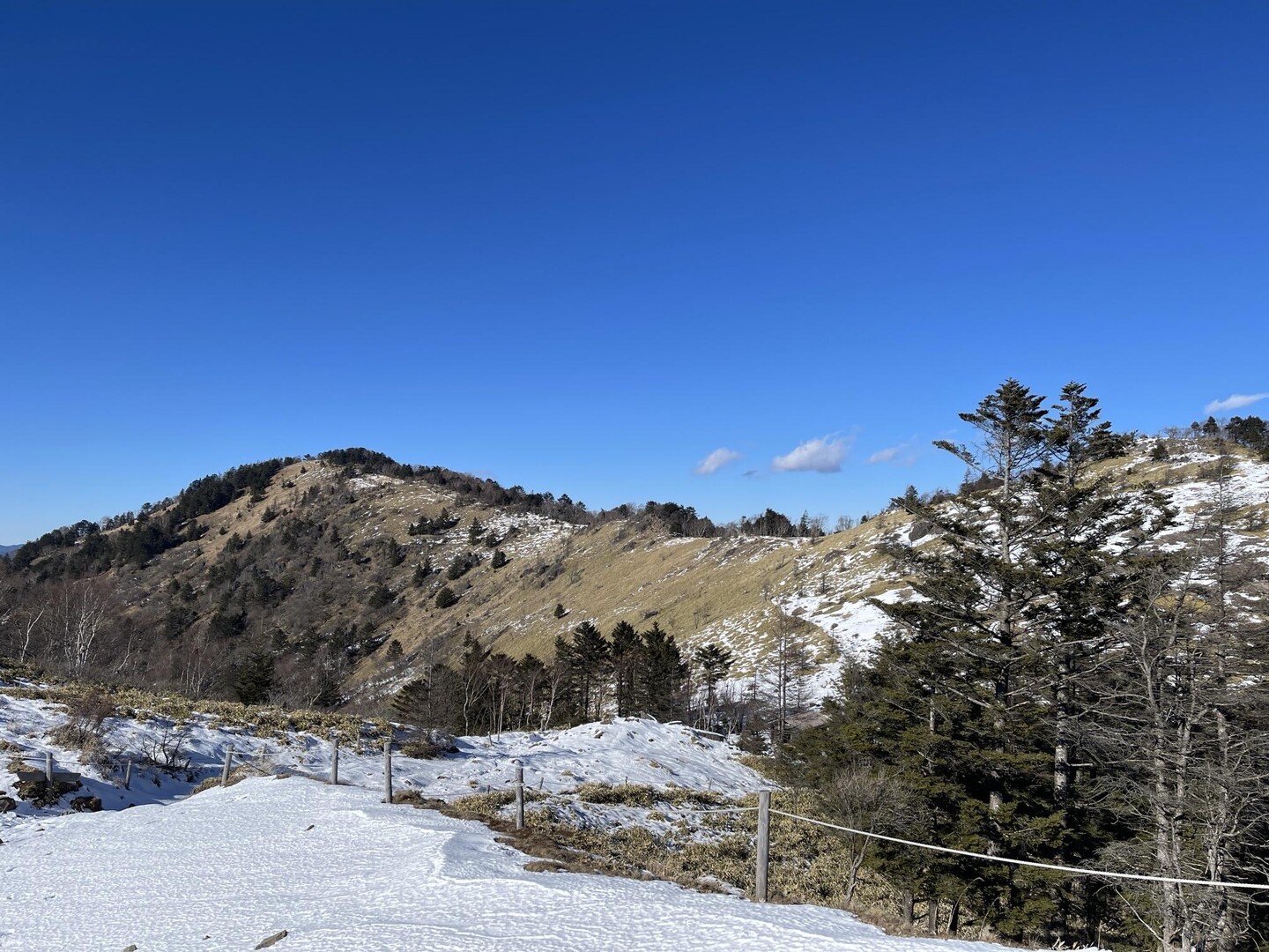 国内御殿・大菩薩嶺・妙見ノ頭・親不知ノ頭 / Jerricさんの大菩薩嶺・鶏冠山・大マテイ山の活動データ | YAMAP / ヤマップ