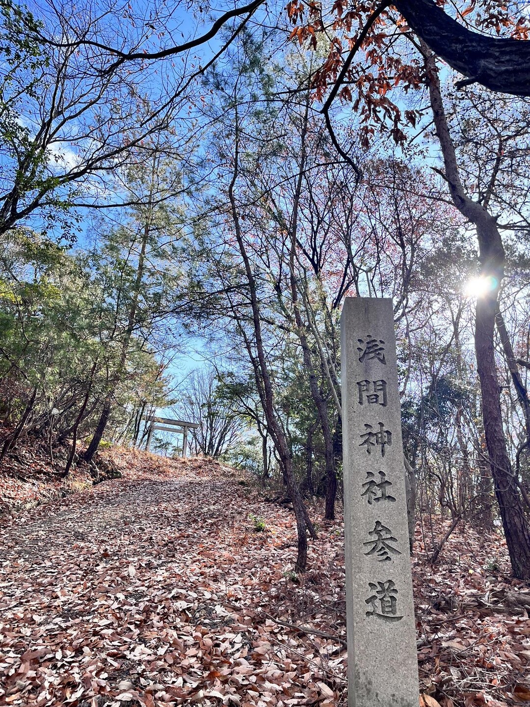 浅間山 / nikoさんの浅間山（美濃富士）の活動日記 | YAMAP / ヤマップ