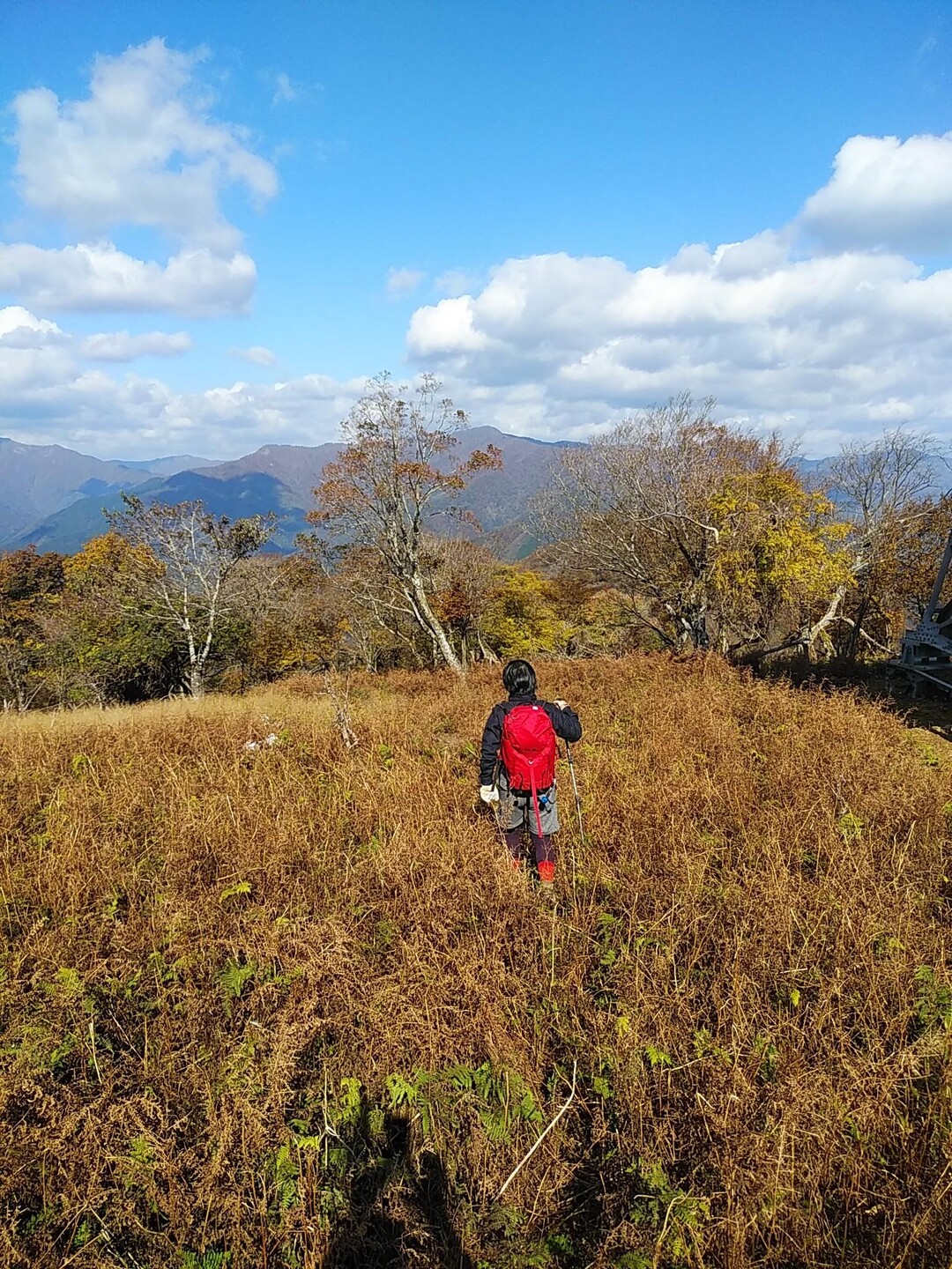 紅葉の飯盛山・西津汲 / あしながおじさんさんの登山の活動データ | YAMAP / ヤマップ
