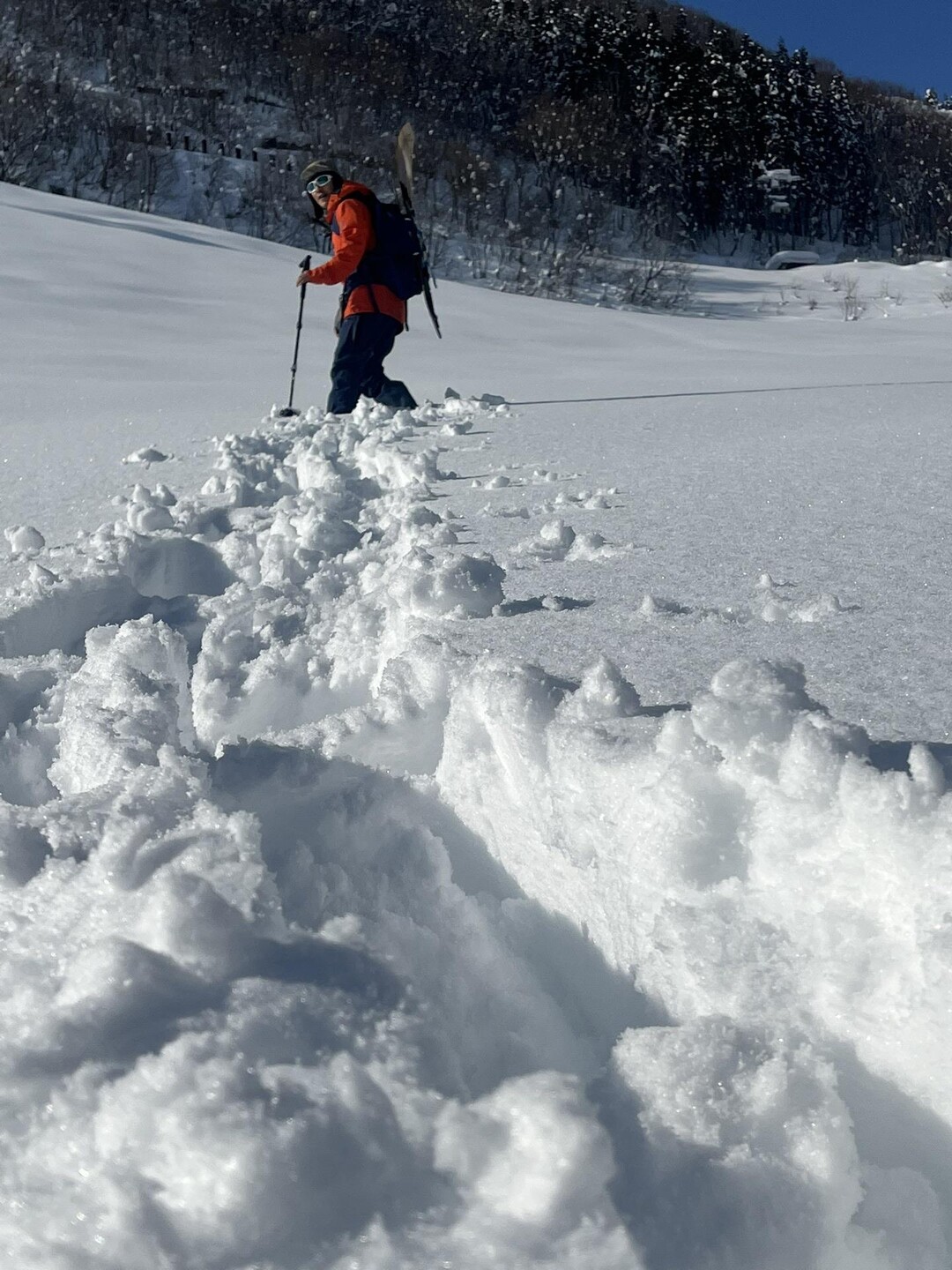新潟で雪板。 バインディングの無い板です... / fumさんのモーメント | YAMAP / ヤマップ