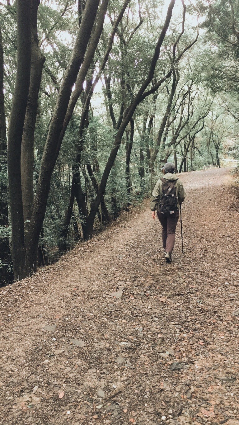 pongoのページ | YAMAP / ヤマップ