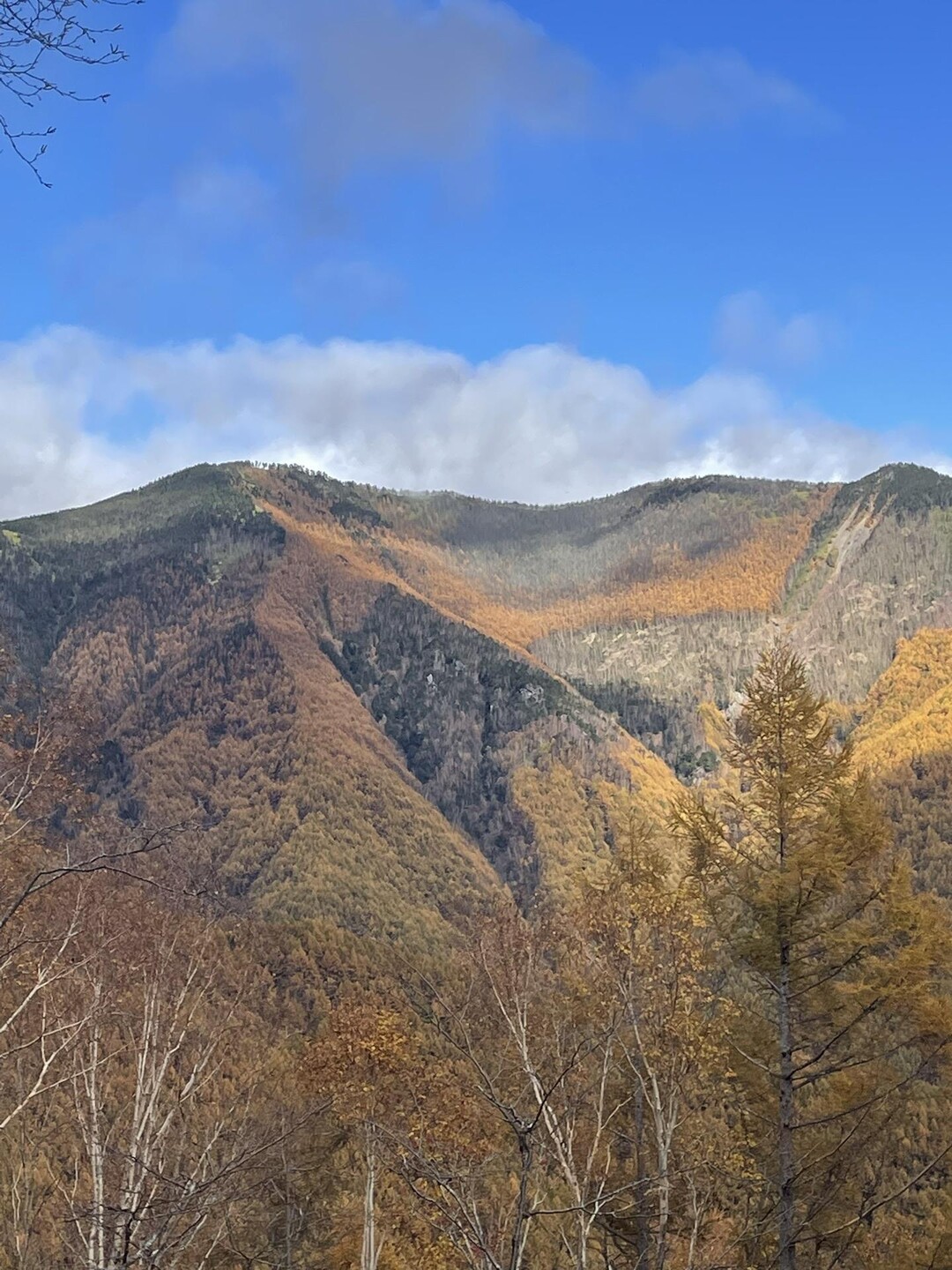 北沢山・コイノコ・経ヶ岳 稜線歩き / motovskyさんの経ヶ岳・坊主岳の活動データ | YAMAP / ヤマップ