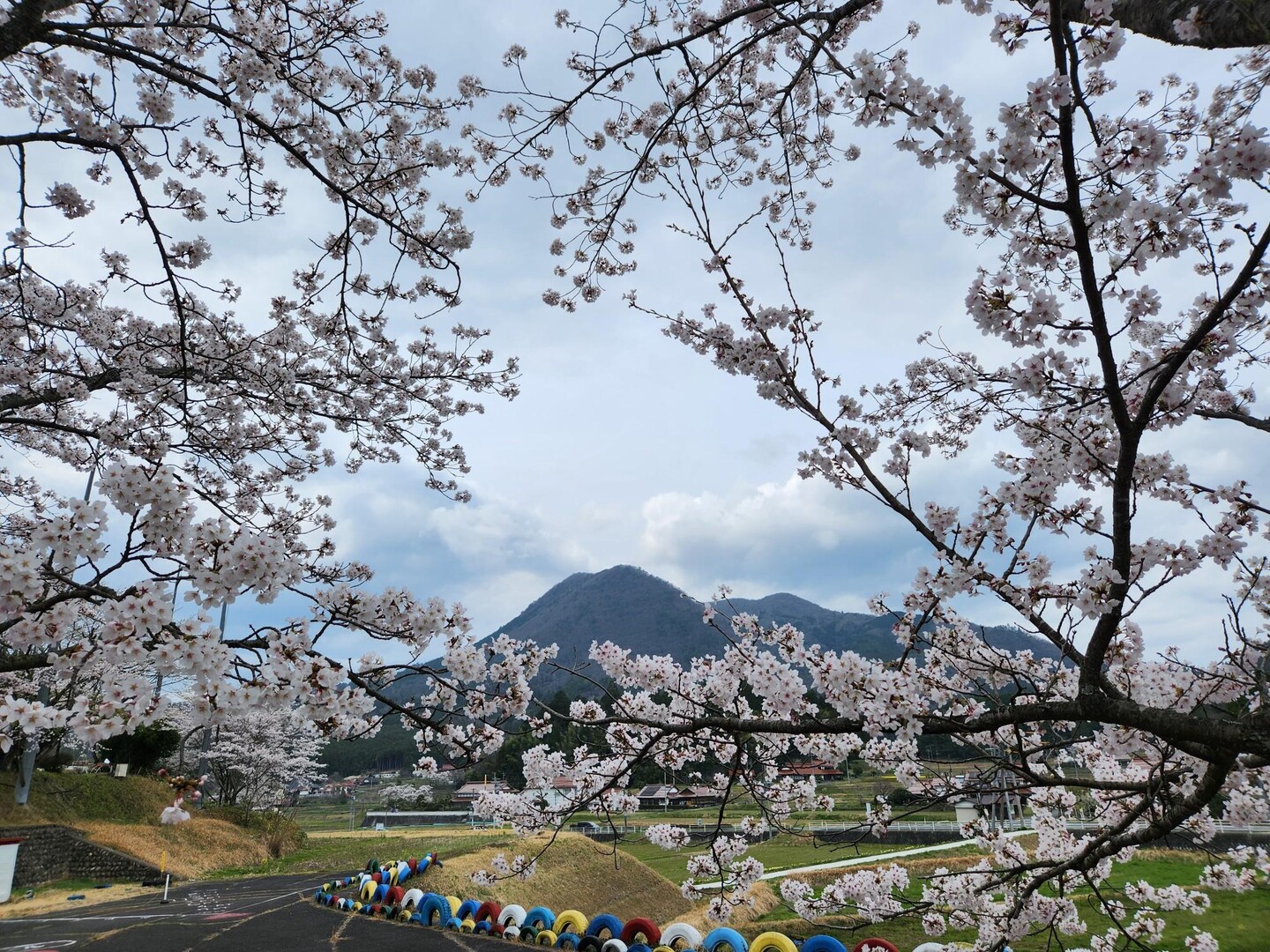 北里山キングp3 龍頭山へ / まみさんの龍頭山の活動データ | YAMAP / ヤマップ