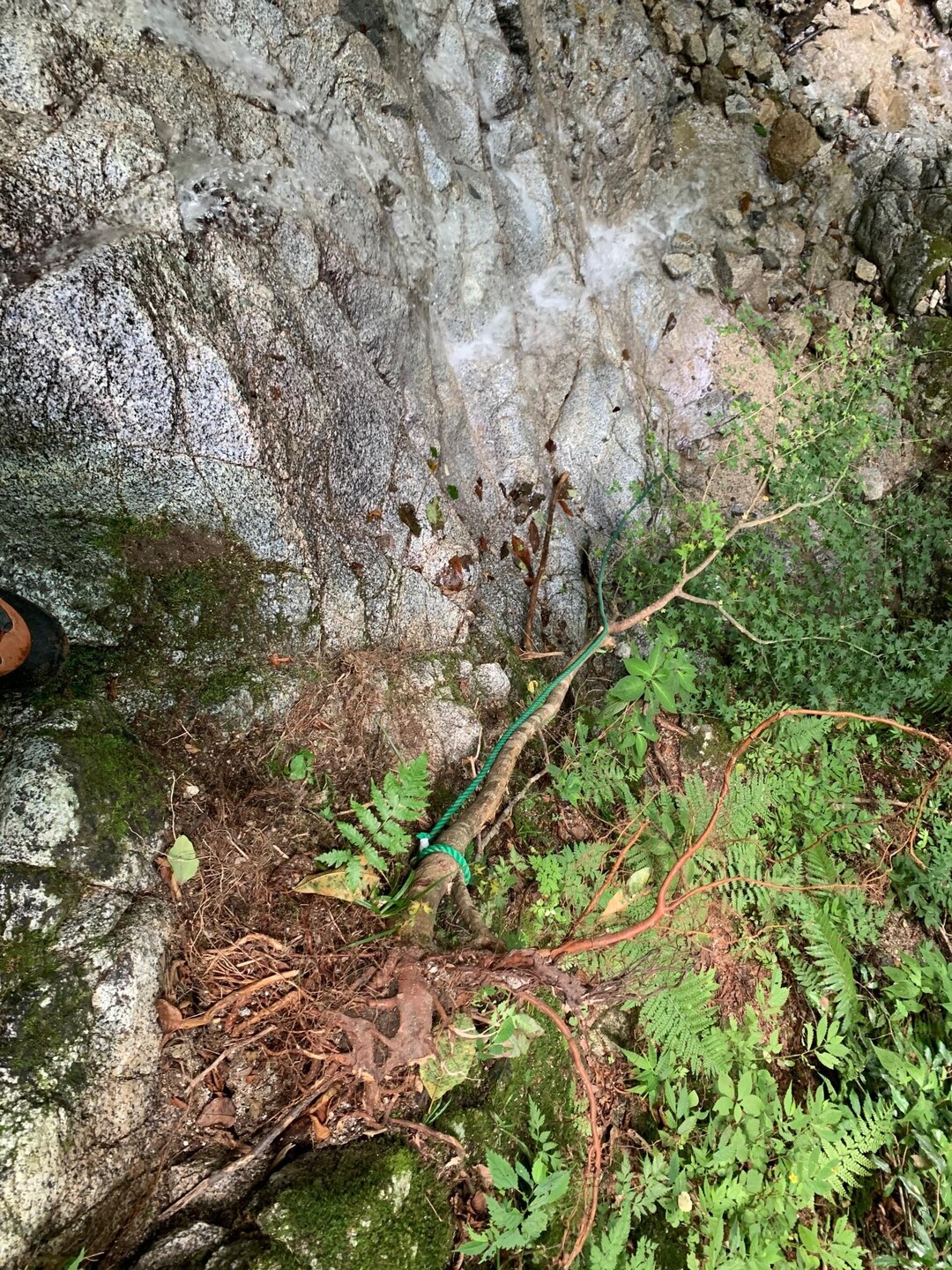 rock-onさんの投稿したフィールドメモ | YAMAP / ヤマップ