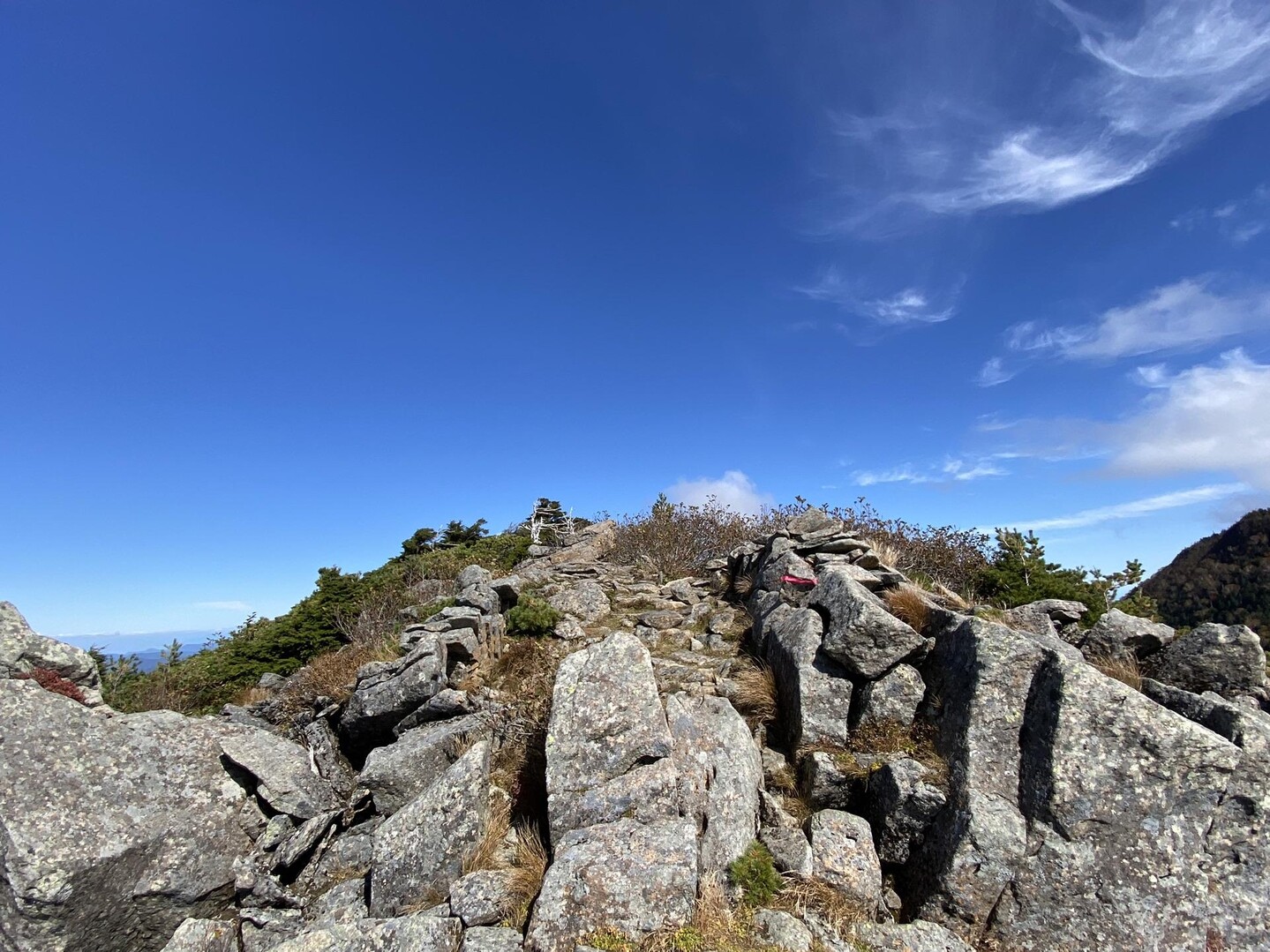 ㊗️LIVE AZUMA 2023 / かげちゃさんの吾妻山・一切経山の活動データ | YAMAP / ヤマップ
