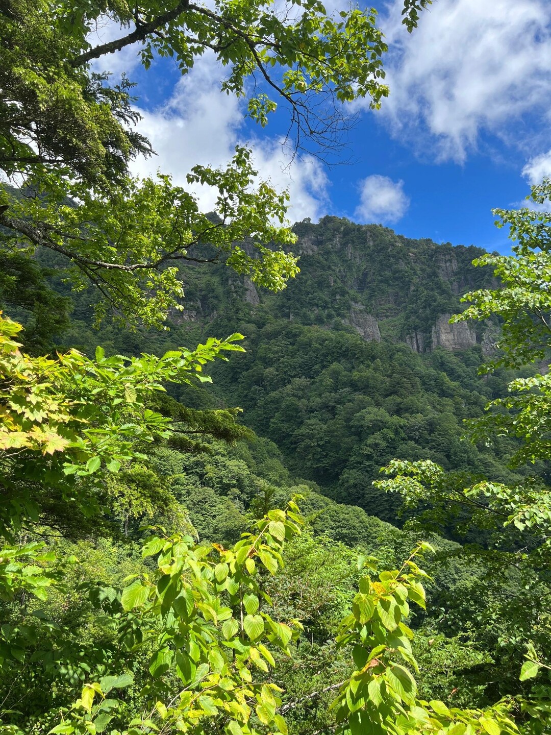八方睨・戸隠山 / syuuさんの高妻山・戸隠山の活動データ | YAMAP / ヤマップ