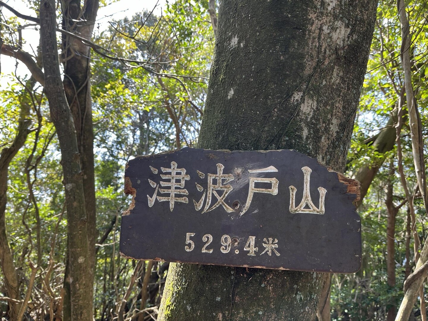 津波戸山・津波戸山本峰 / ayaka-Kさんの御許山・雲ヶ岳・米神山の活動データ | YAMAP / ヤマップ