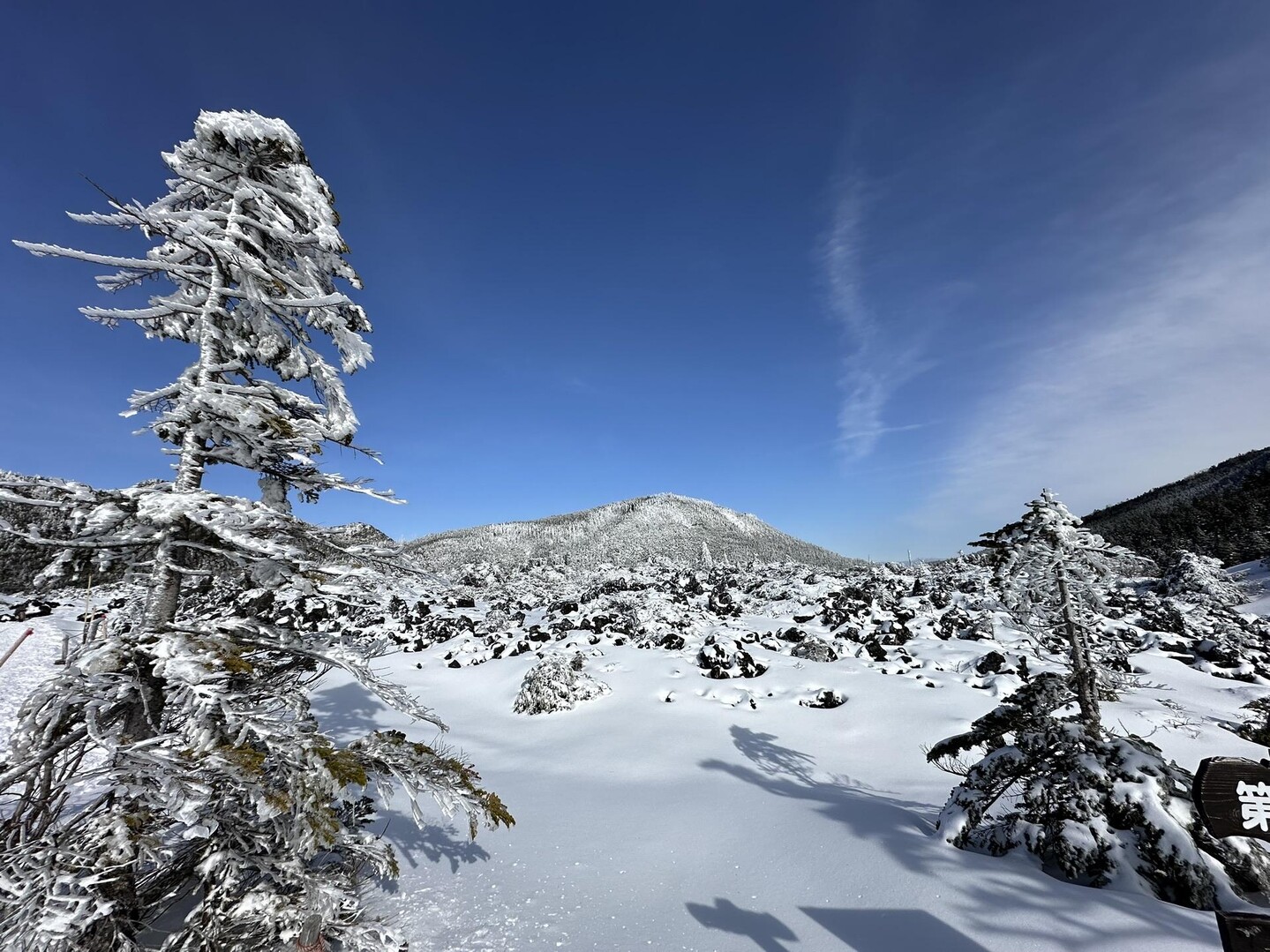 北八ヶ岳スノーハイク / Mayuさんの蓼科山・横岳・縞枯山の活動データ | YAMAP / ヤマップ