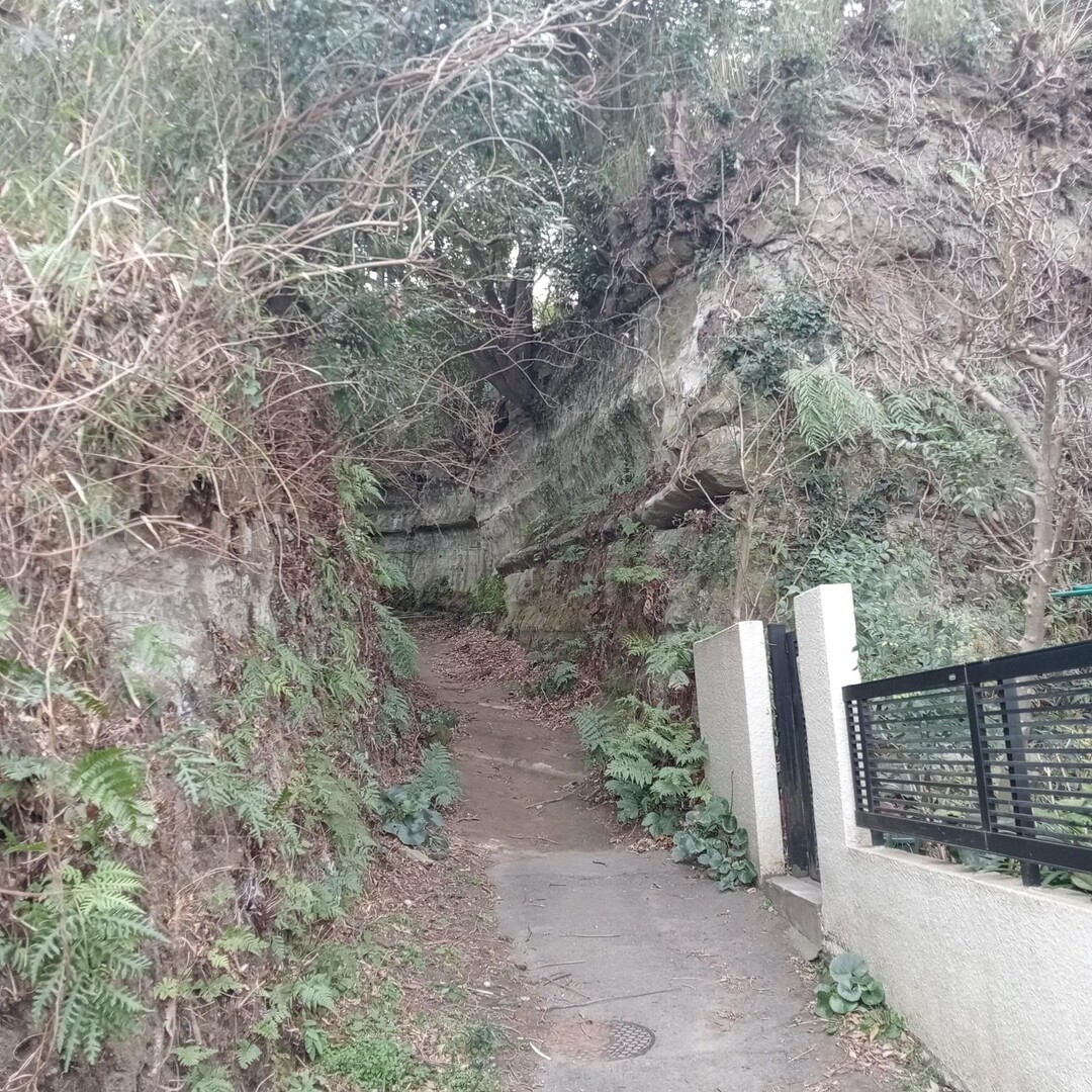 NTNさんの投稿したフィールドメモ | YAMAP / ヤマップ