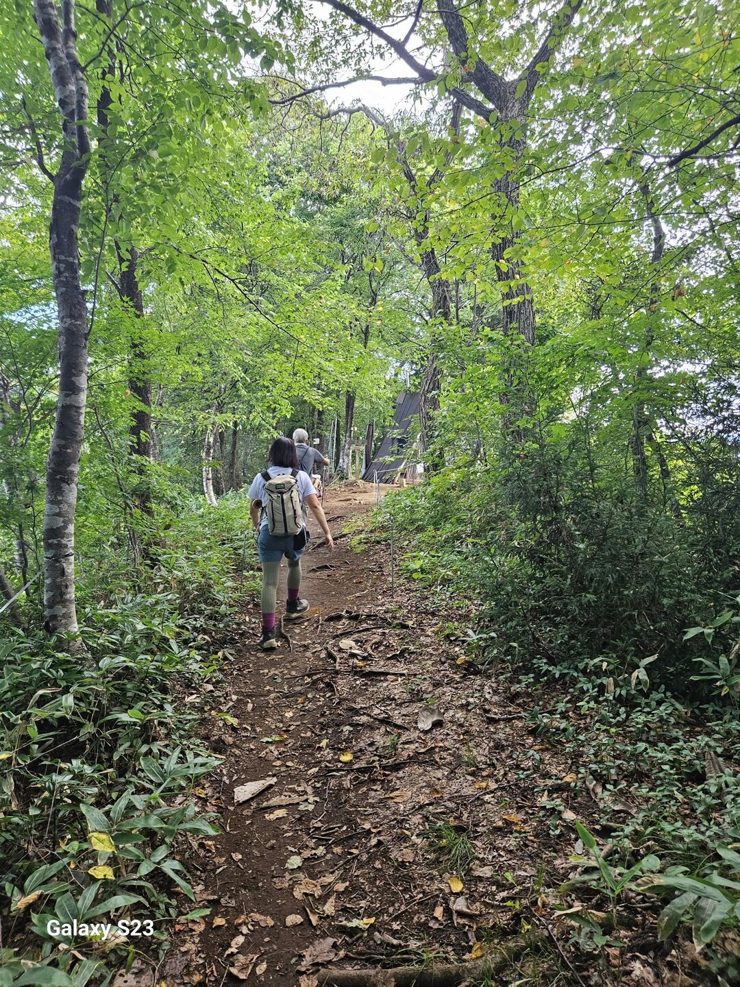 猿毛岳 152 / 一路さんの猿毛岳の活動データ | YAMAP / ヤマップ