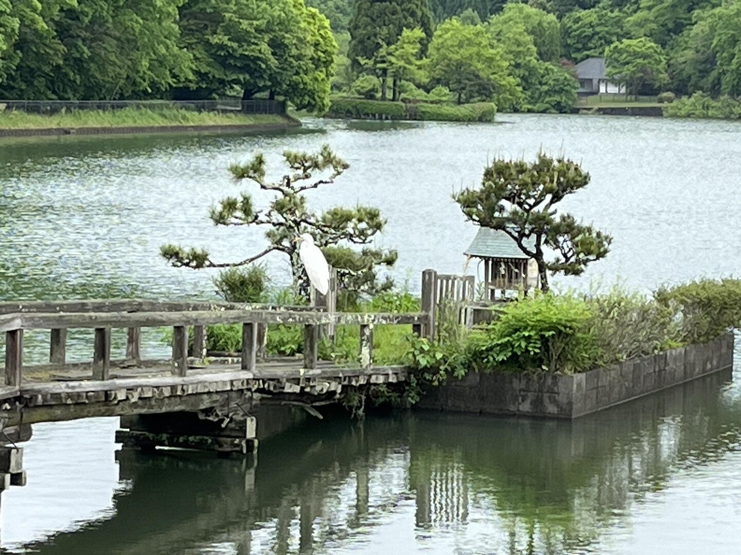 有馬富士（Part 2） / よっしーさんの有馬富士の活動データ | YAMAP / ヤマップ