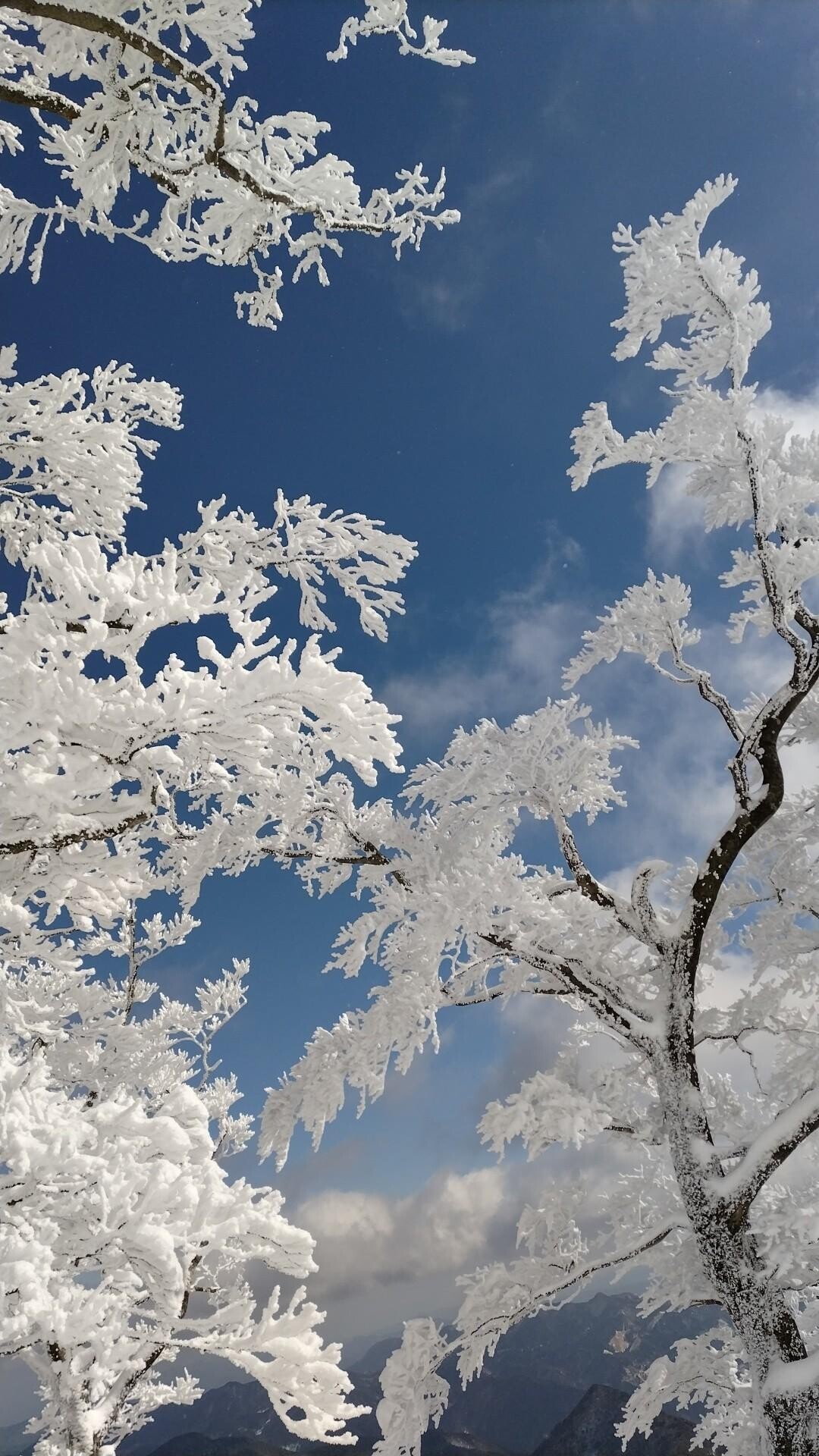 英彦山(北岳) / SG-FRさんの英彦山の活動データ | YAMAP / ヤマップ