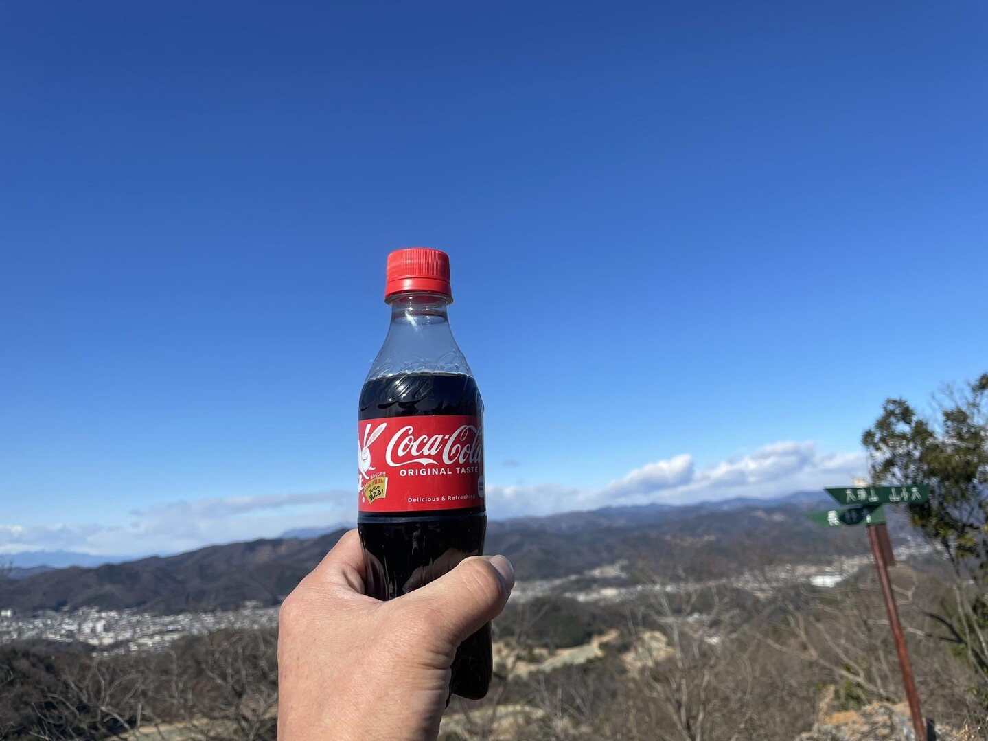 大小山・妙義山・つつじ山・大坊山 / HAMHAM21さんの大小山（妙義山）・西場富士の活動データ | YAMAP / ヤマップ