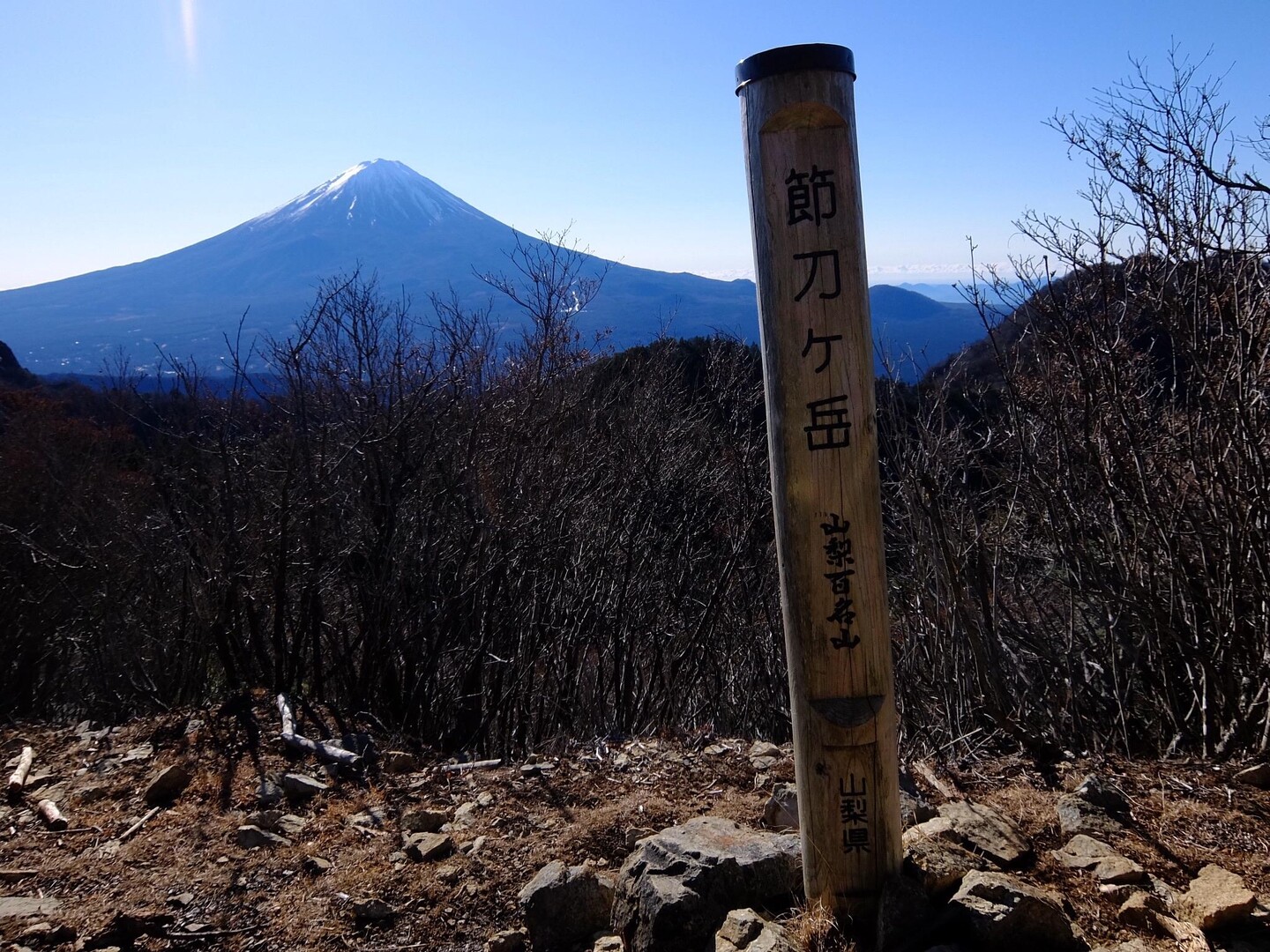 大石峠から節刀ヶ岳・金山 / berry🍊さんの節刀ヶ岳・破風山・足和田山の活動データ | YAMAP / ヤマップ