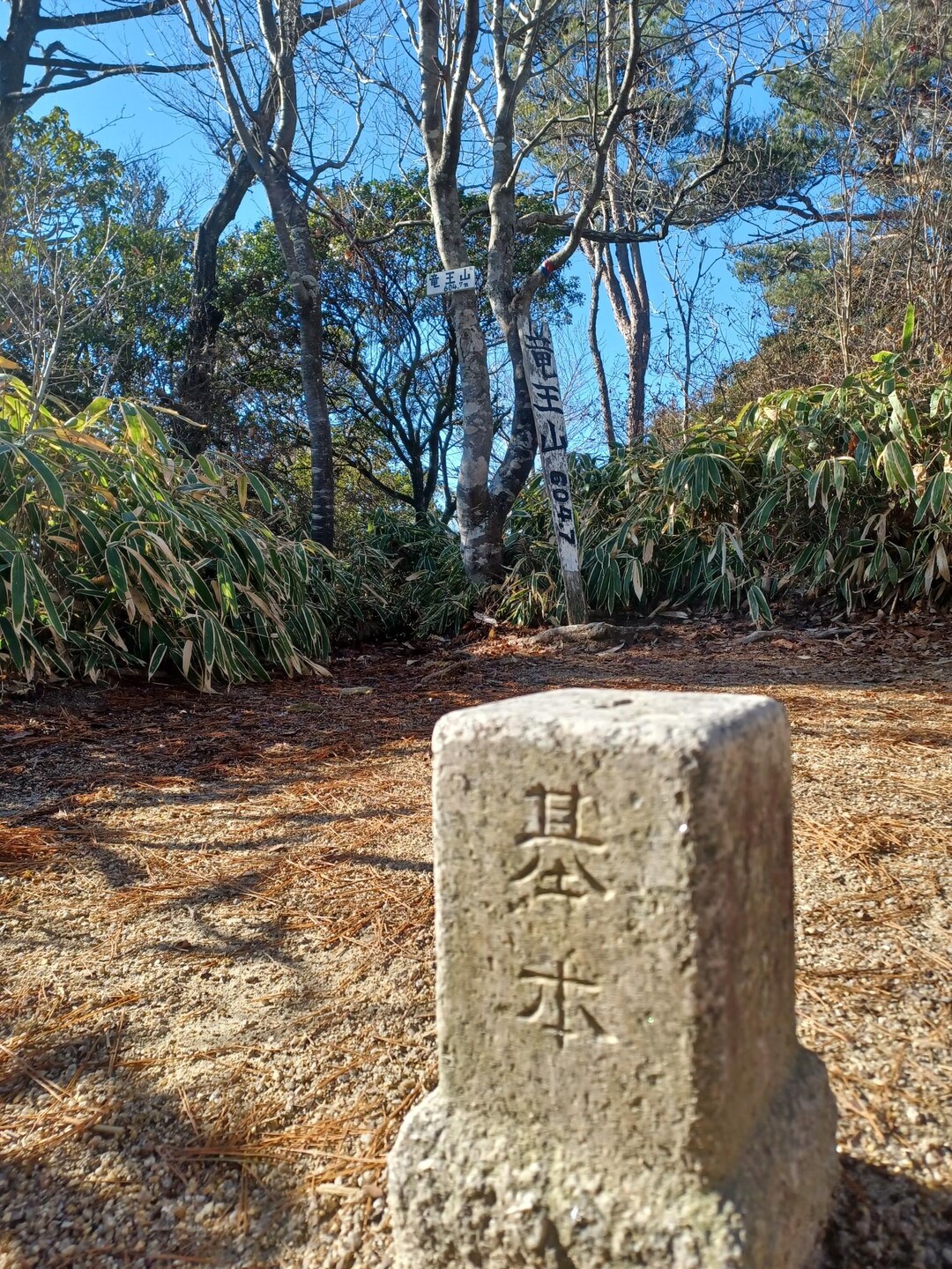 竜が付く山 ～竜王山～ / Azy-mさんの金勝アルプス（鶏冠山・竜王山）の活動データ | YAMAP / ヤマップ