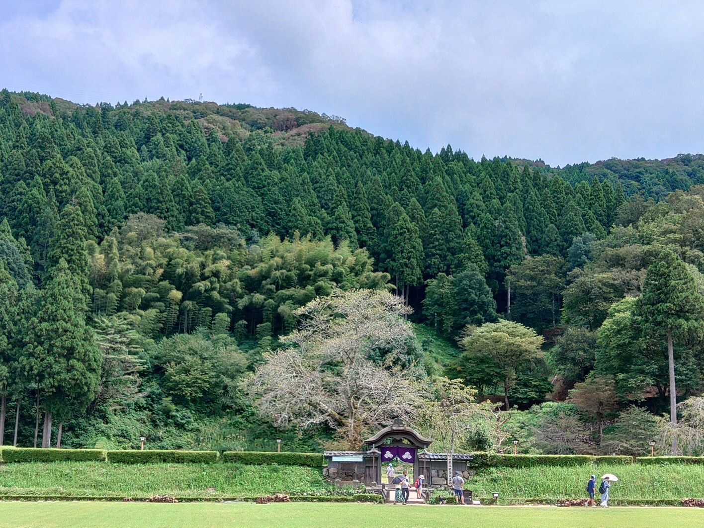 一乗城山 / Mimさんの一乗城山の活動データ | YAMAP / ヤマップ