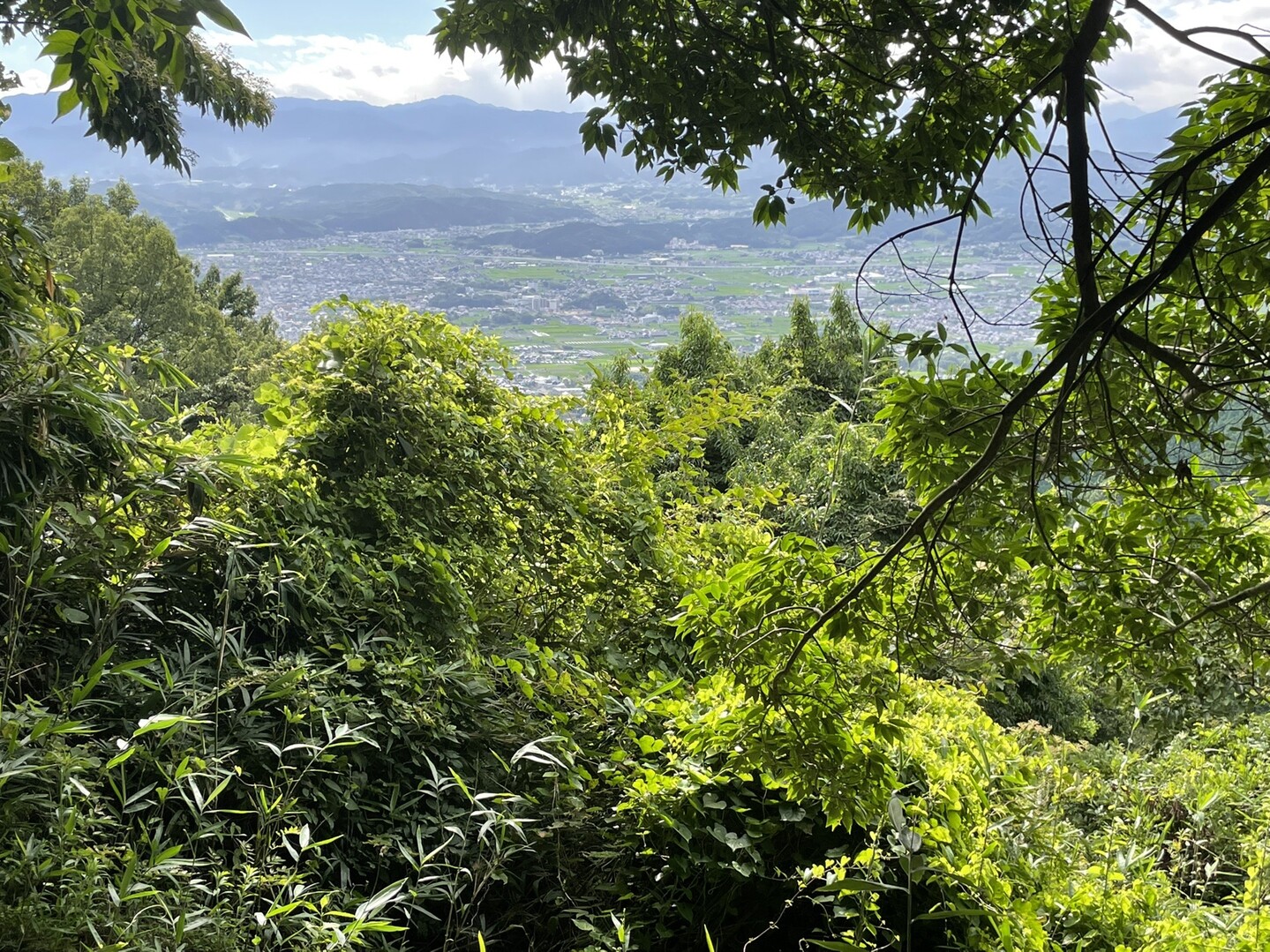 やまとよさんの投稿したフィールドメモ | YAMAP / ヤマップ