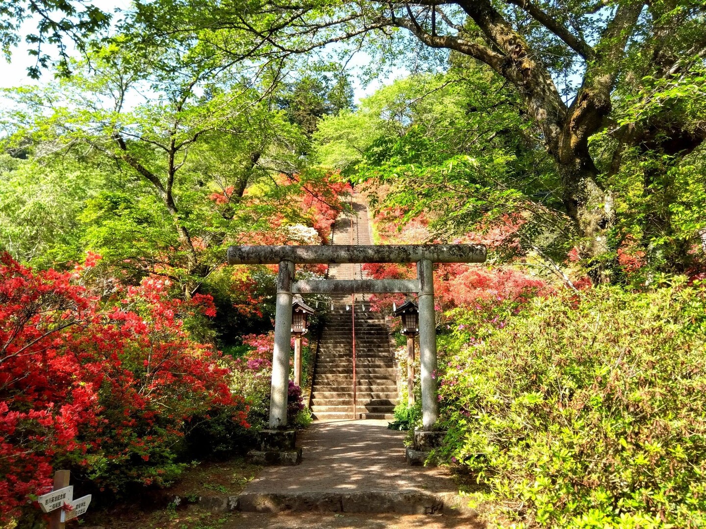 三室山、竜の髭、日の出山から ♨つるつる温泉。 / よみひこさんの大岳山・御岳山・御前山の活動データ | YAMAP / ヤマップ