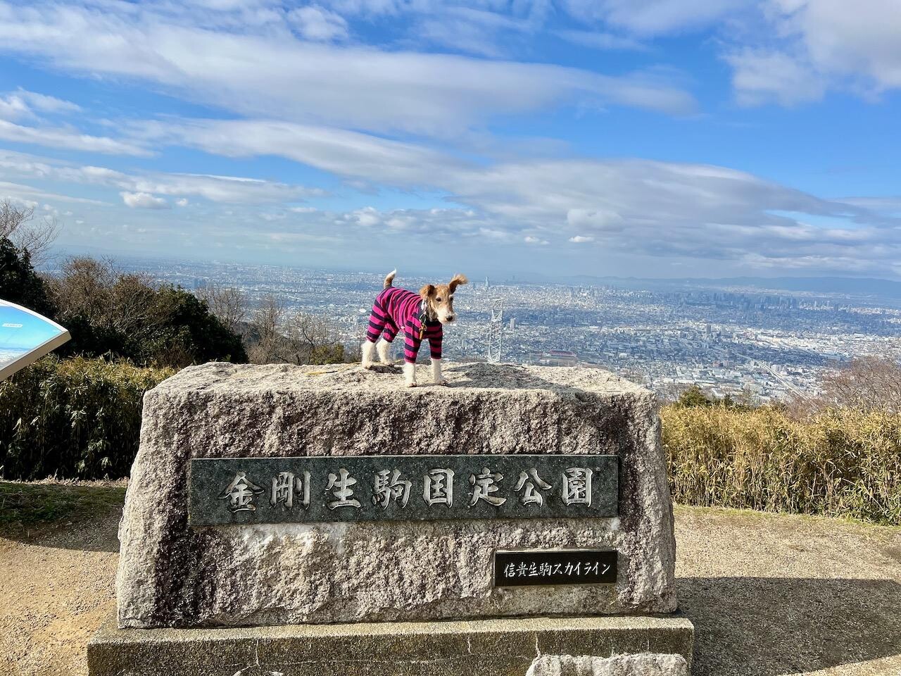 初めての 生駒山 いこいこ / masa omoさんの生駒山・神津嶽・大原山の活動データ | YAMAP / ヤマップ