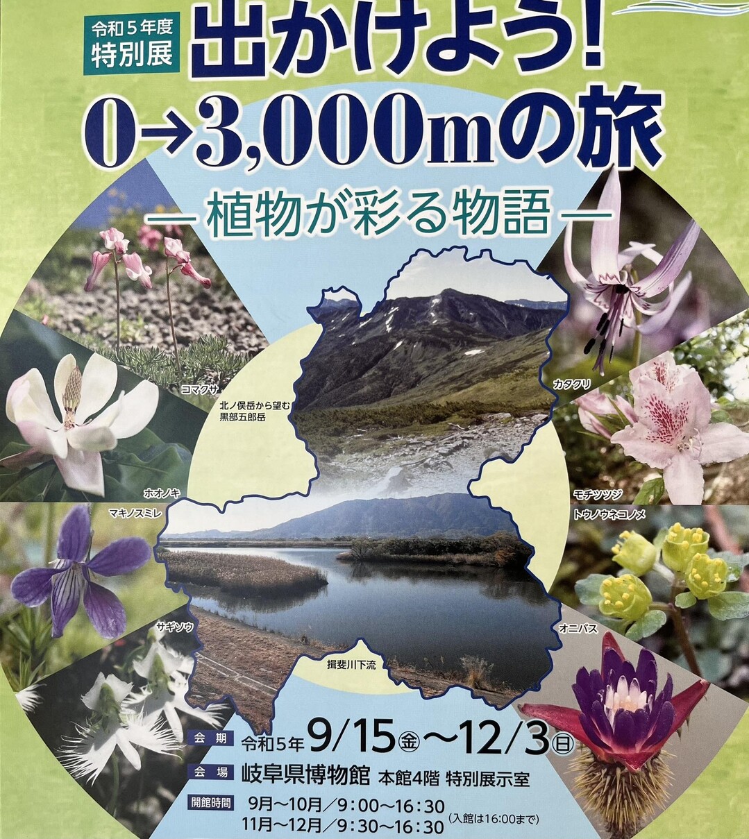 皆さんの日記で拝見した数々の花のお写真、... / ぷりんさんのモーメント | YAMAP / ヤマップ