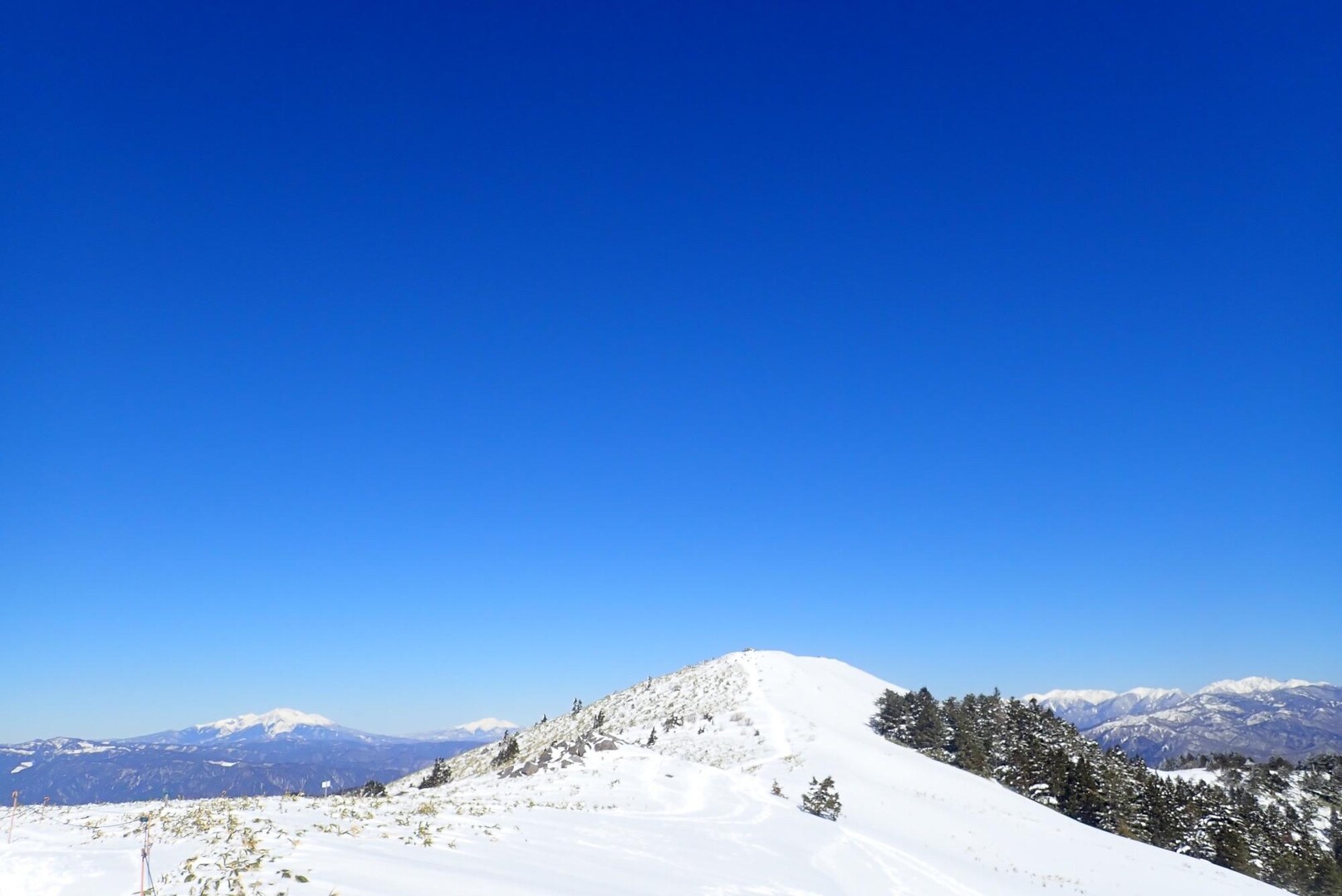 千両山・富士見台 / rey_seroさんの恵那山・大判山・神坂山の活動データ | YAMAP / ヤマップ
