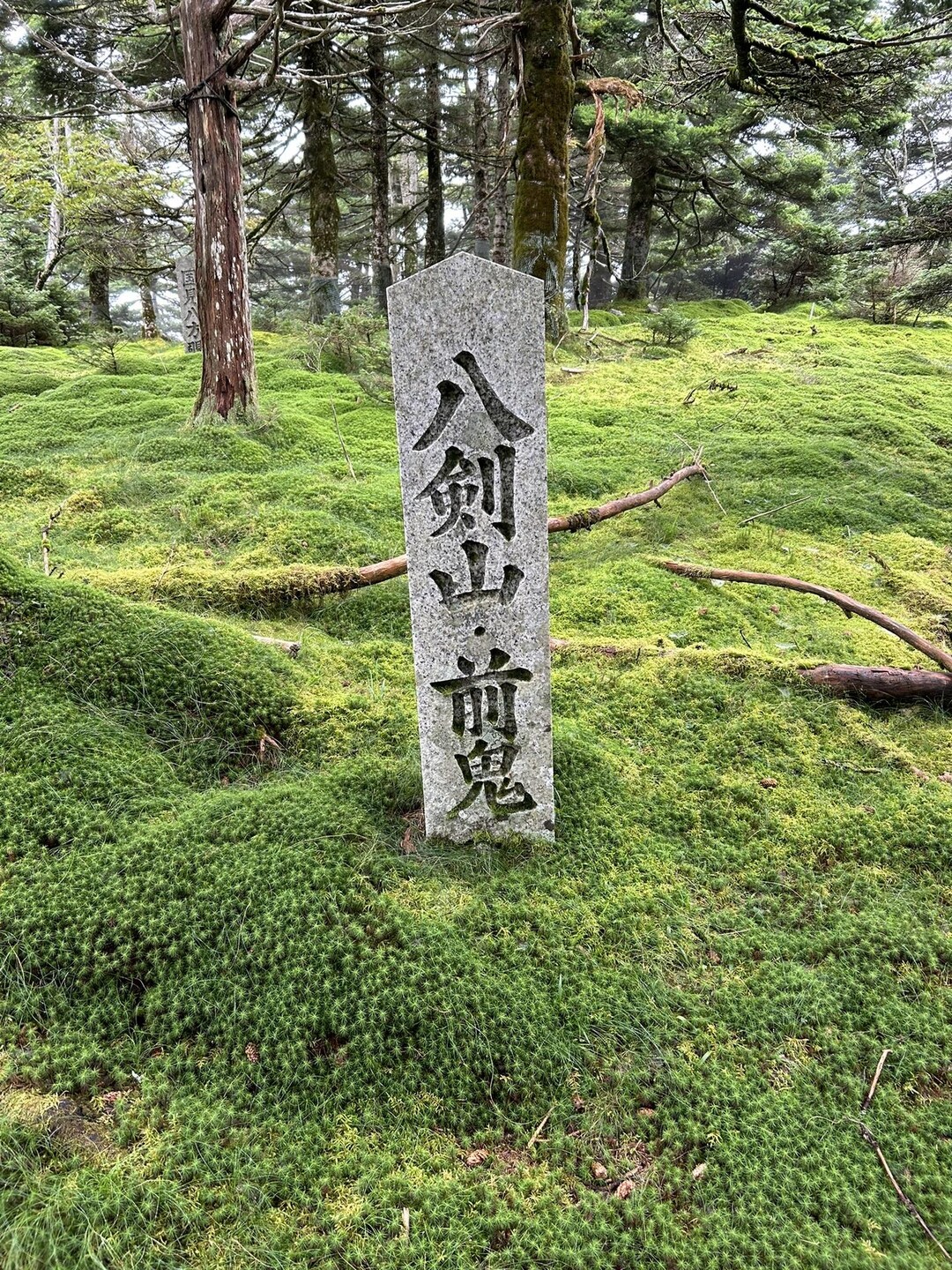 八経ヶ岳 / aiueo123さんの八経ヶ岳の活動データ | YAMAP / ヤマップ