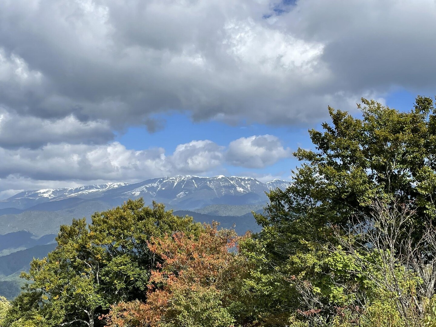 天蓋山 YAMAP新道へGo! / ひなさんの天蓋山・大鼠山の活動データ | YAMAP / ヤマップ