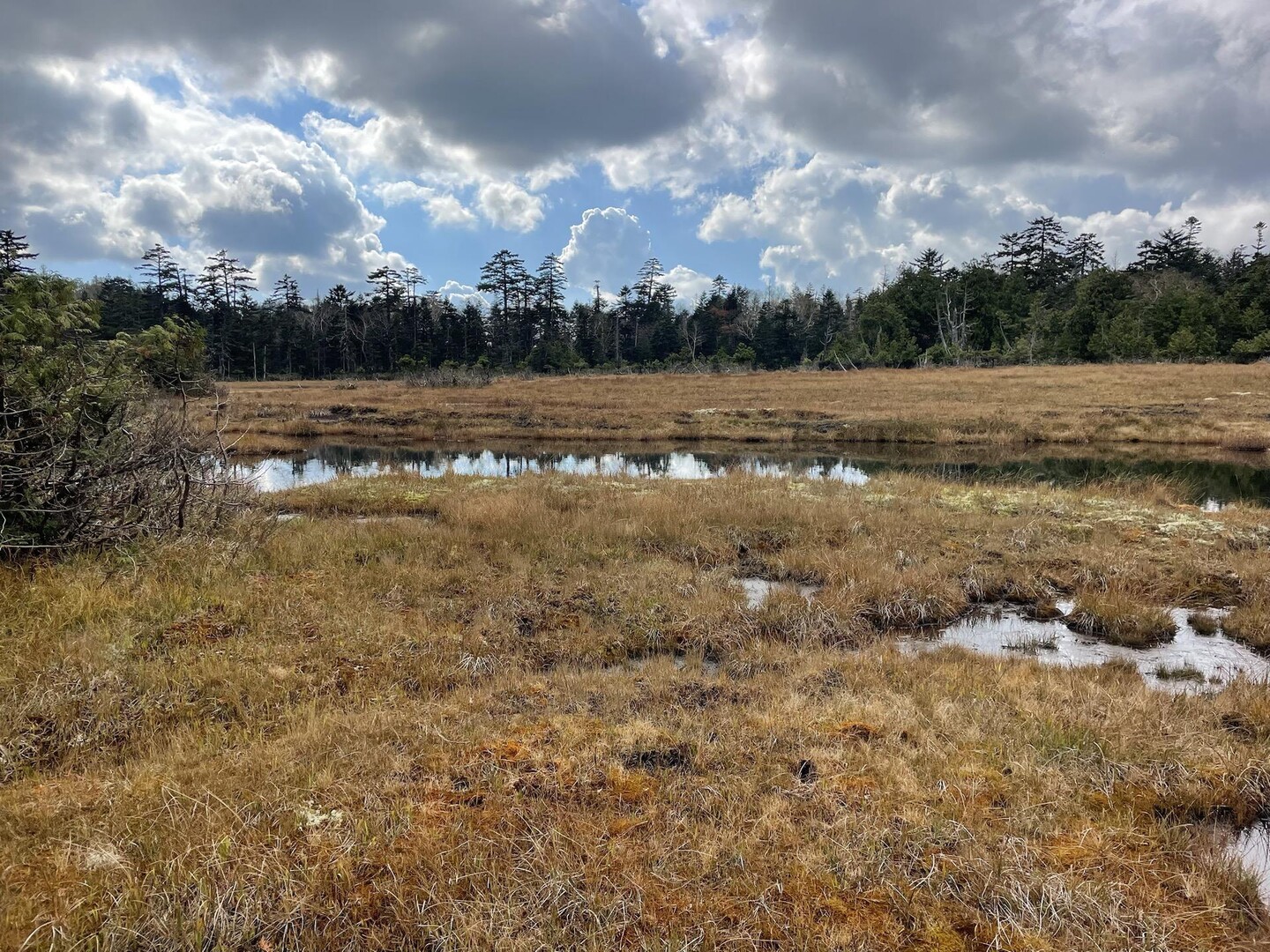 天女の湿原へ（大清水~鬼怒沼+奥鬼怒温泉） / yuさんの尾瀬・燧ヶ岳の活動データ | YAMAP / ヤマップ