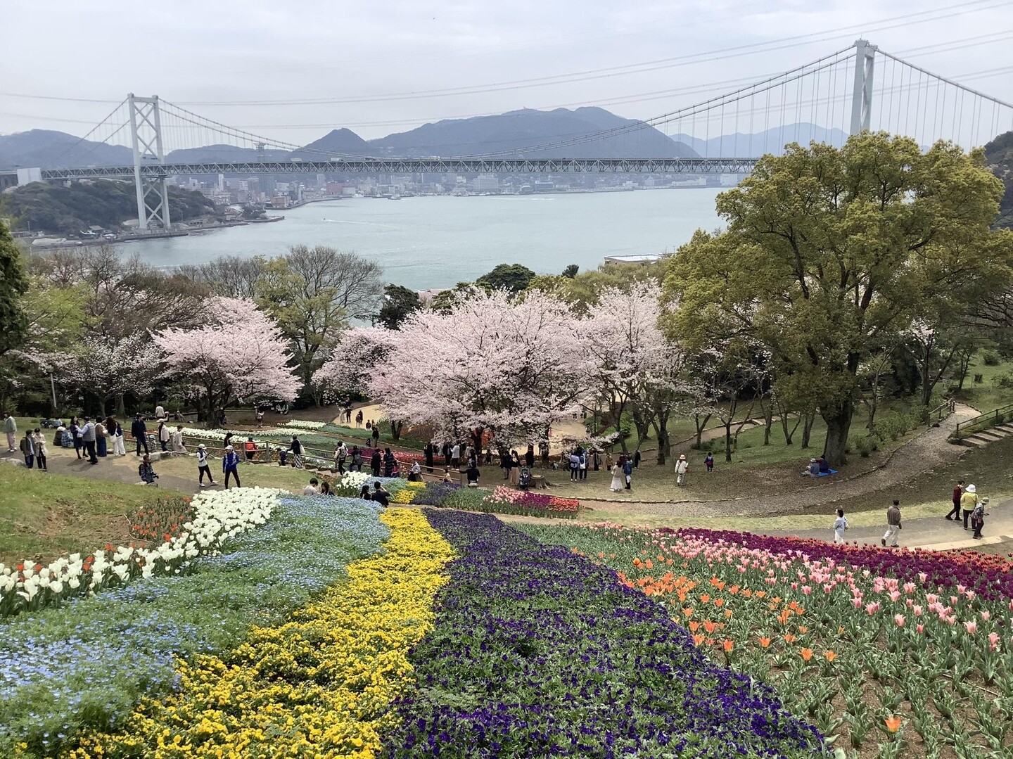 火の山公園 散策 / a24さんの火の山・火の山公園・霊鷲山の活動データ | YAMAP / ヤマップ