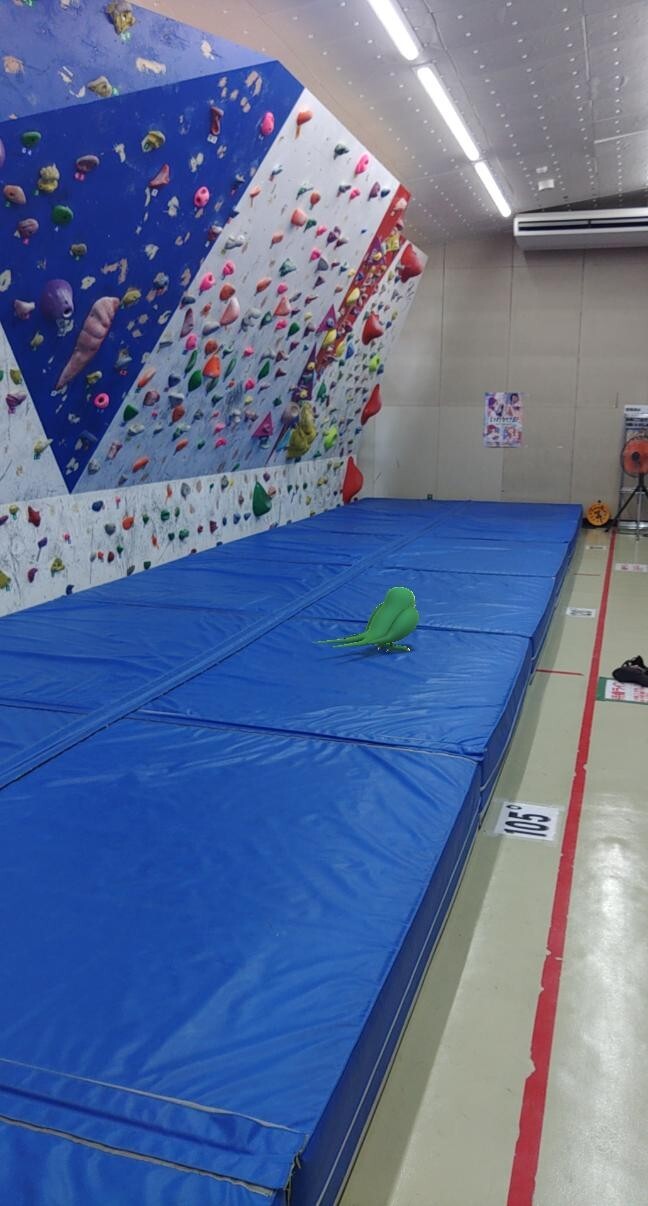 ジムに来たらスバメの色違いが‼️‼️ 手... / この人さんのモーメント | YAMAP / ヤマップ