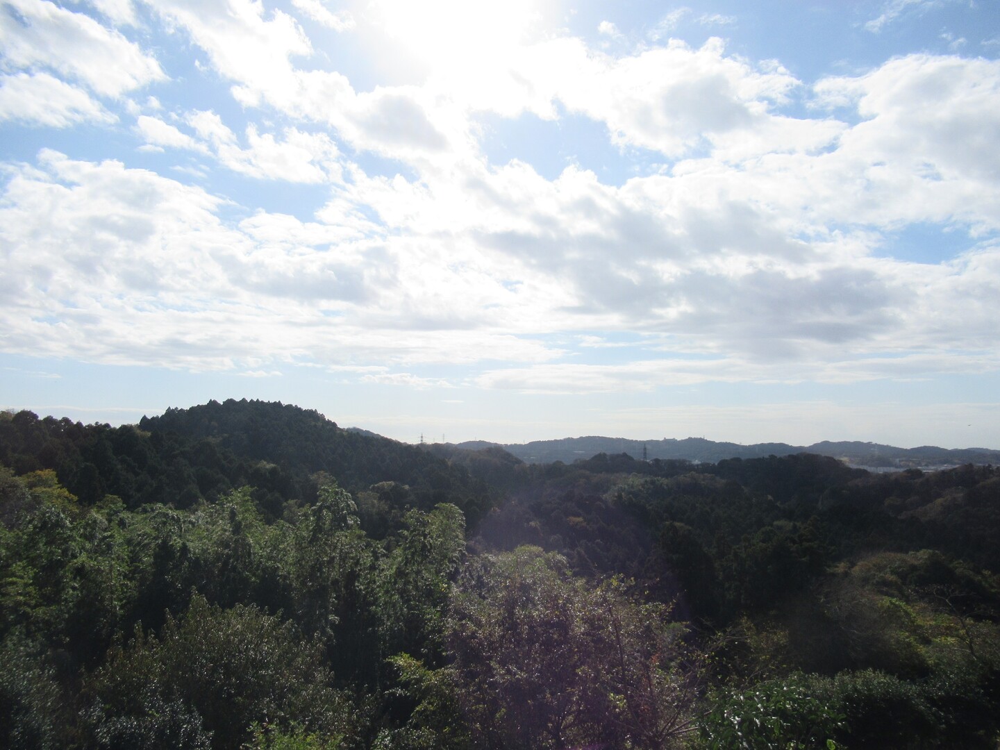大丸山・円海山散策-2020-11-22 / ながさんの鎌倉アルプス（大平山・天台山）の活動データ | YAMAP / ヤマップ