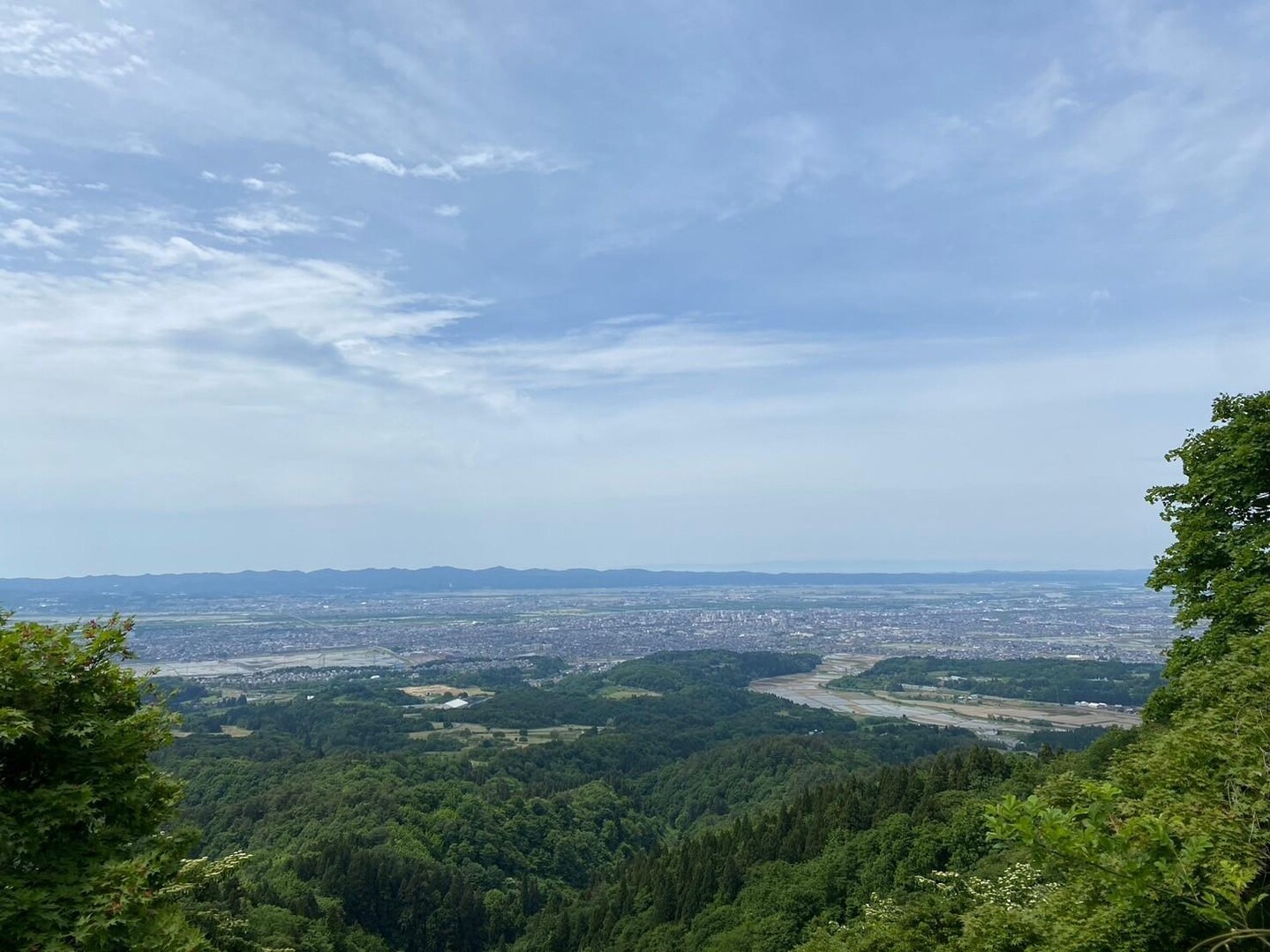 三ノ峠山 / kaneさんの鋸山・三ノ峠山・八方台の活動データ | YAMAP / ヤマップ