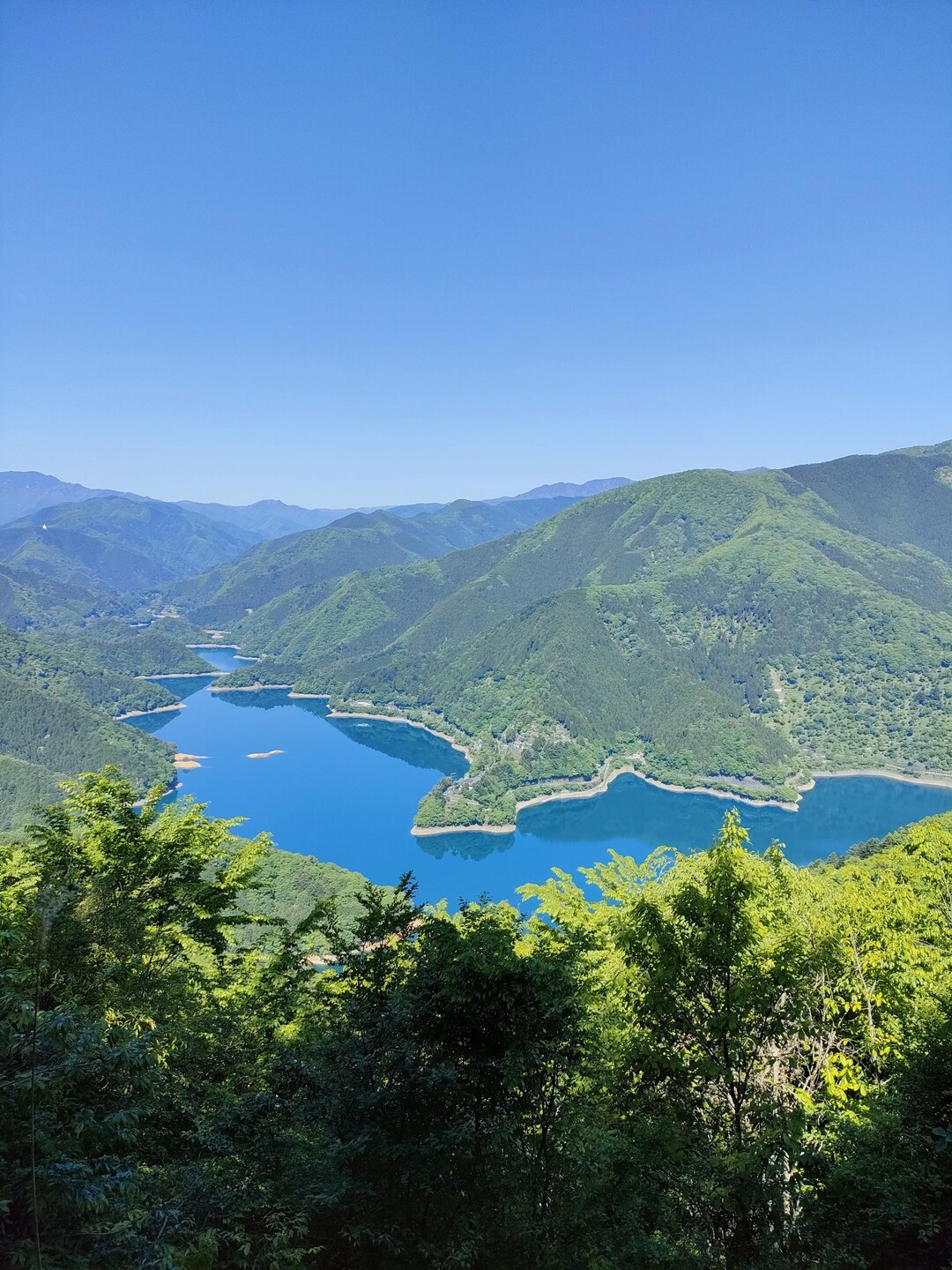 御前山 / chieさんの大岳山・御岳山・御前山の活動データ | YAMAP / ヤマップ