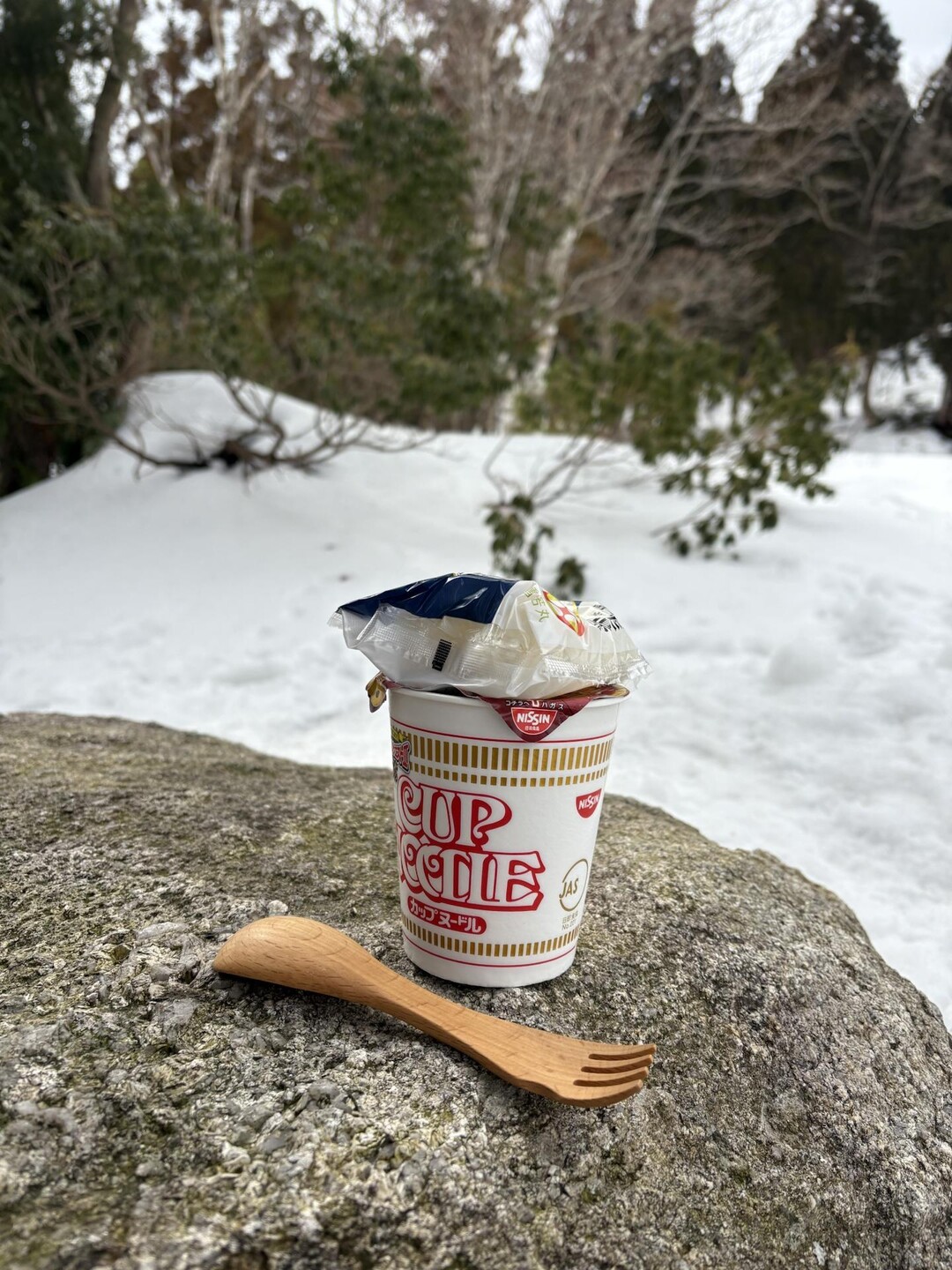武奈ヶ岳 イン谷ピストン↩️ / ko2さんの比良山地・武奈ヶ岳・釈迦岳の活動データ | YAMAP / ヤマップ