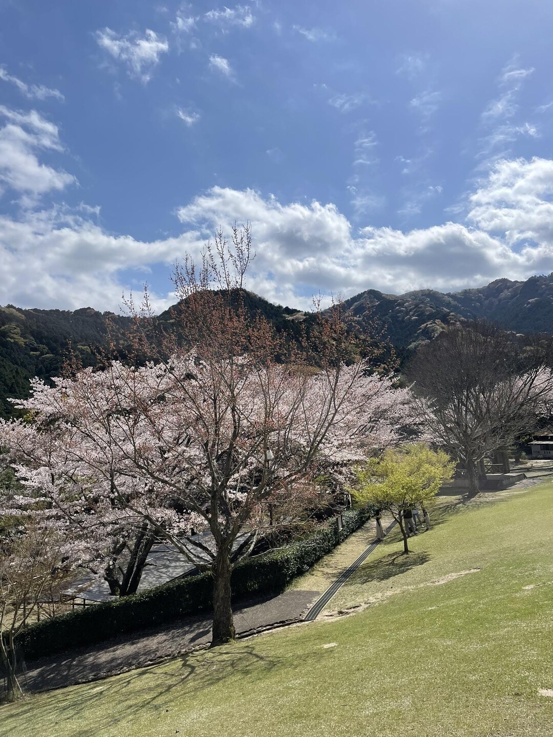 雲母谷の高・堀坂山（雌岳）・堀坂山・堀坂峠の高・観音岳・愛宕山・御所谷山 / HORNさんの堀坂山・観音岳・桝形山（白米城）の活動データ | YAMAP / ヤマップ