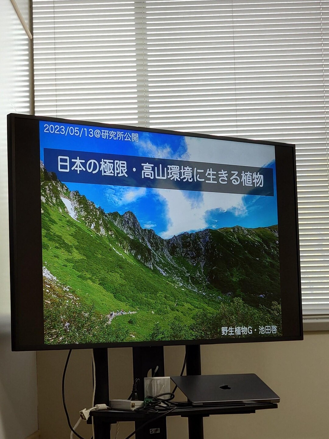 きて、みて、発見！！植物っておもしろい！... / masaeさんのモーメント | YAMAP / ヤマップ