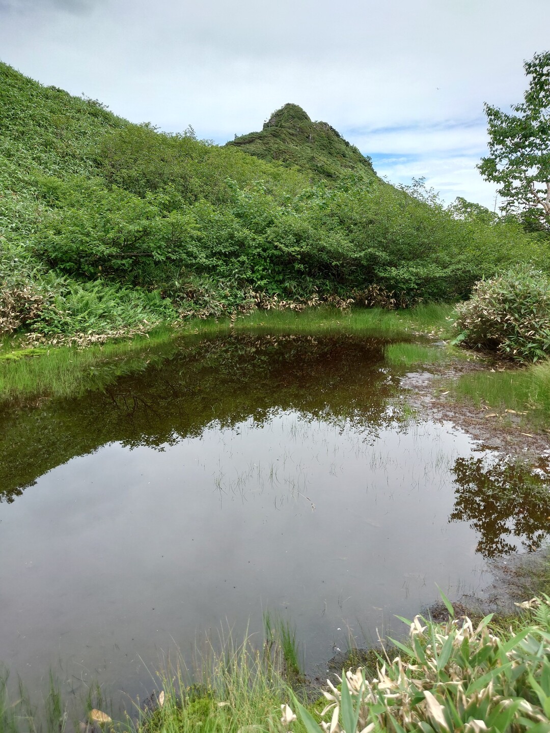 HiroNagさんの投稿したフィールドメモ | YAMAP / ヤマップ