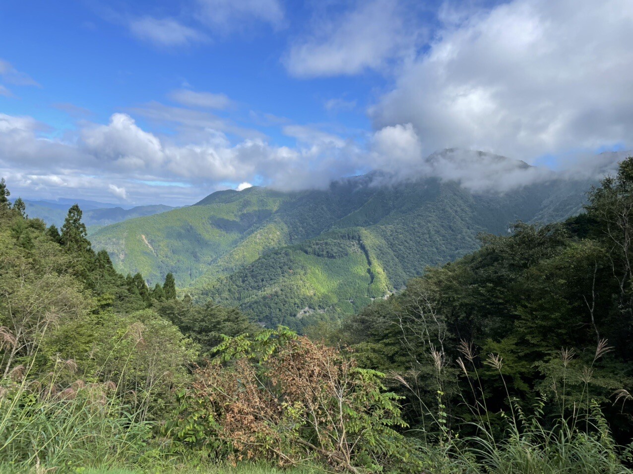 扇平山・ナダクマシロ山・常光寺山 / TKC90さんの常光寺山の活動データ | YAMAP / ヤマップ