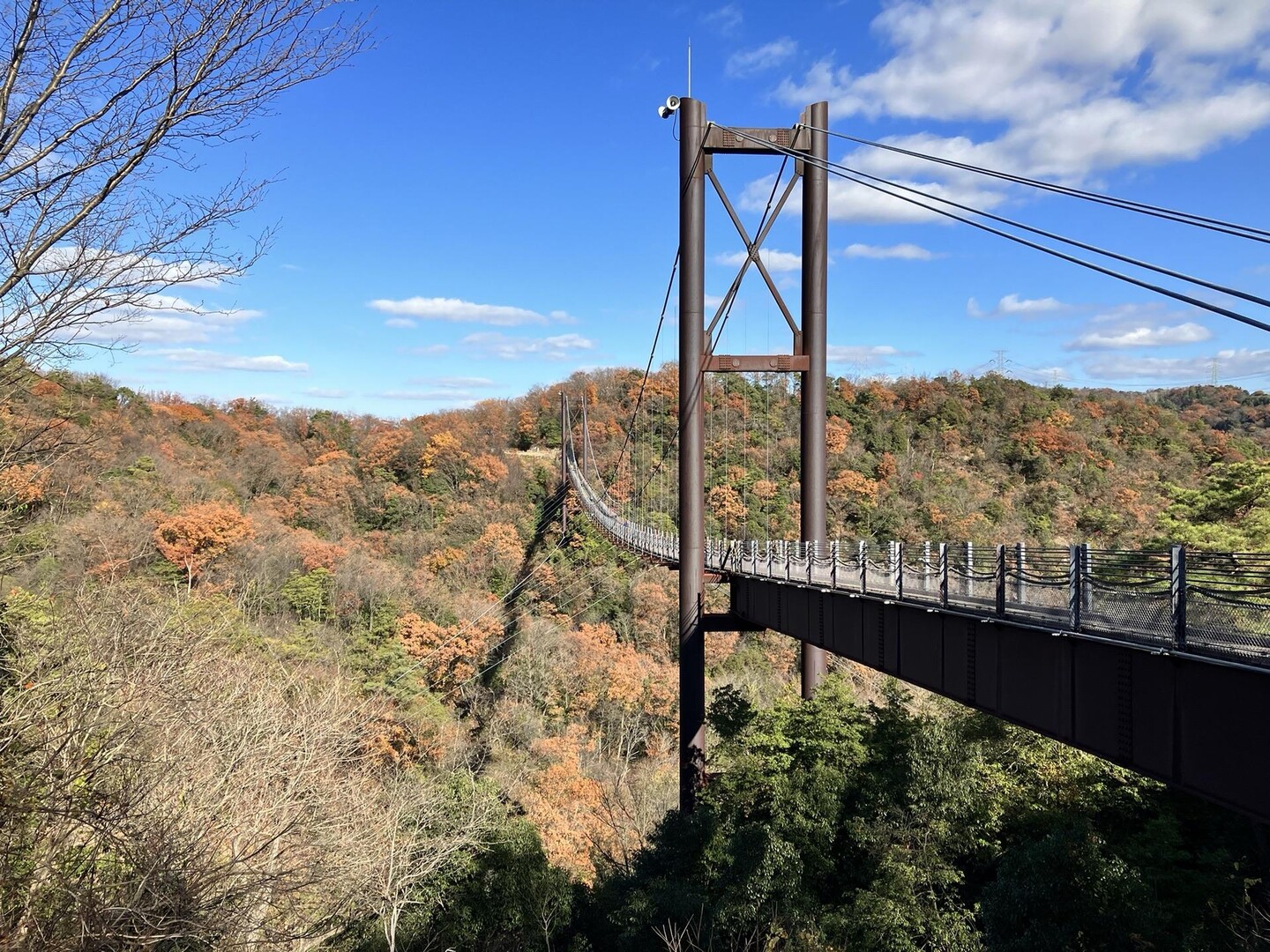 星のブランコ / nobuさんの交野山・国見山の活動データ | YAMAP / ヤマップ