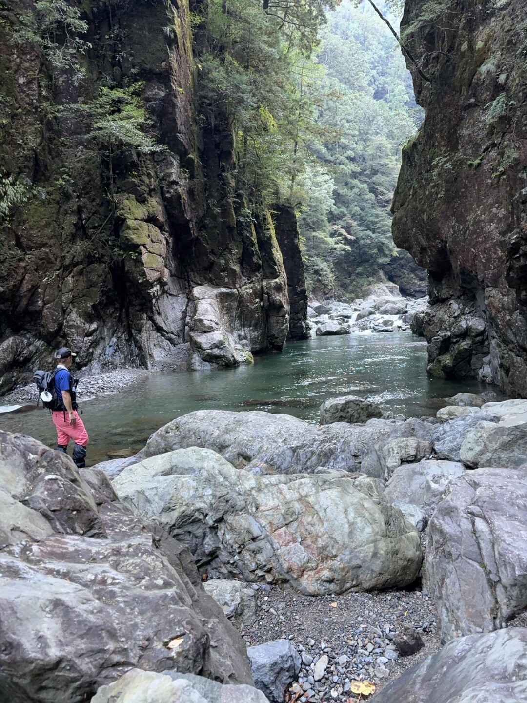 大台ヶ原山（日出ヶ岳）から大杉谷へ / shojiさんの大台ヶ原山・日出ヶ岳・大杉谷の活動データ | YAMAP / ヤマップ
