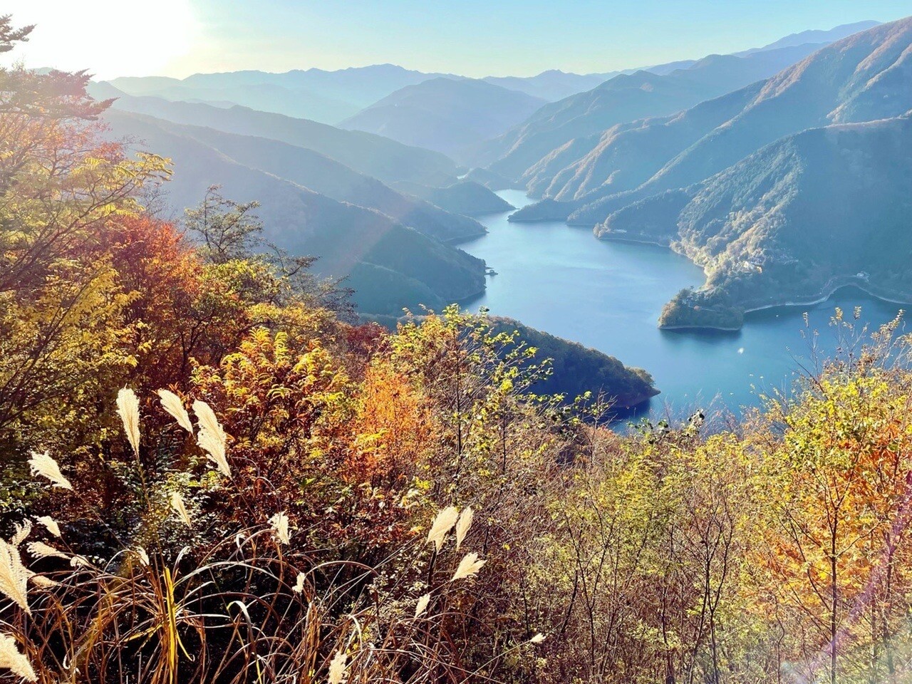 愛宕山・鋸山・鞘口山・クロノ尾山・御前山・惣岳山・指沢山 / ririさんの大岳山・御岳山・御前山の活動データ | YAMAP / ヤマップ